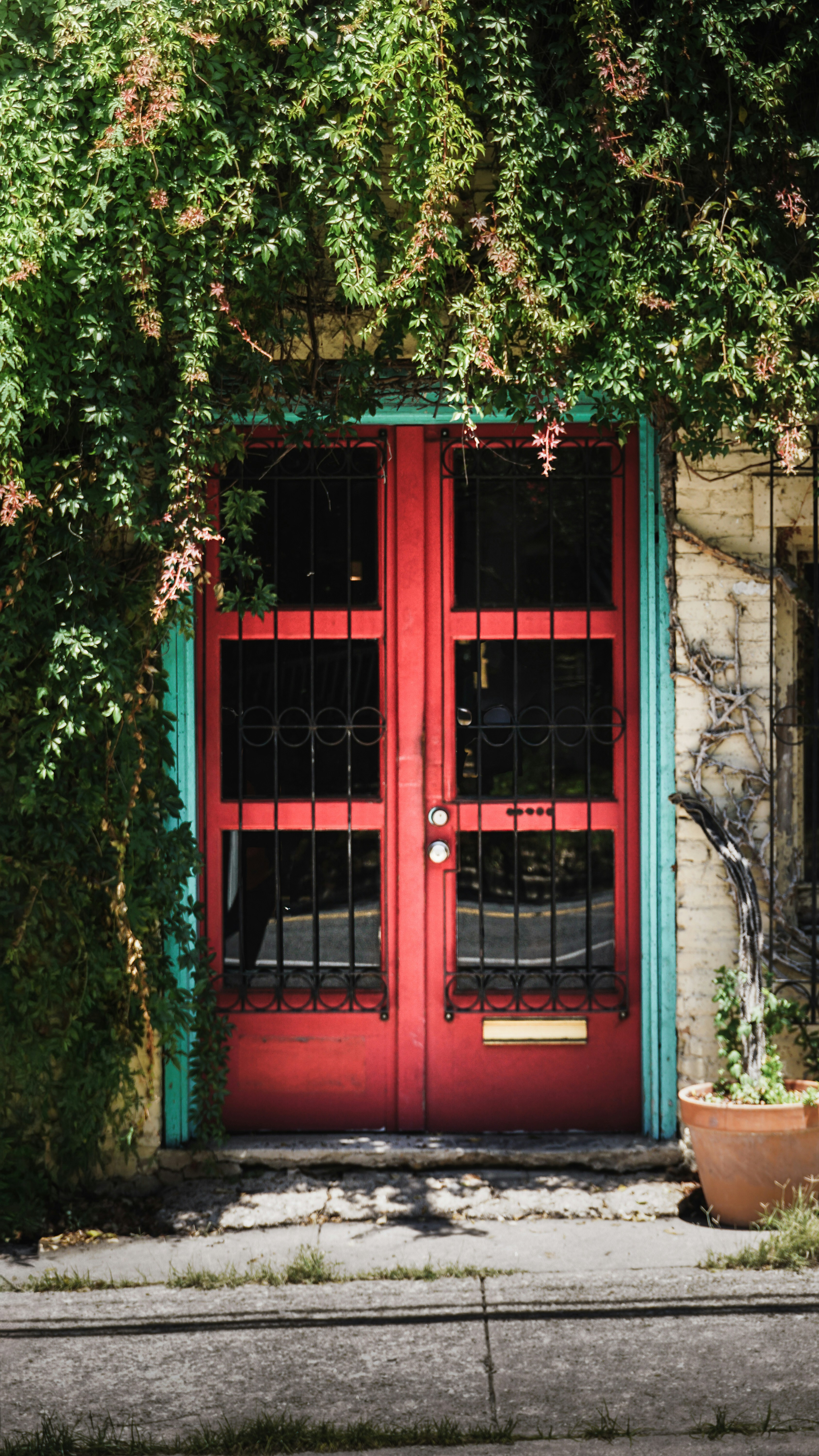 Crimson Doors in Winding Ivy
