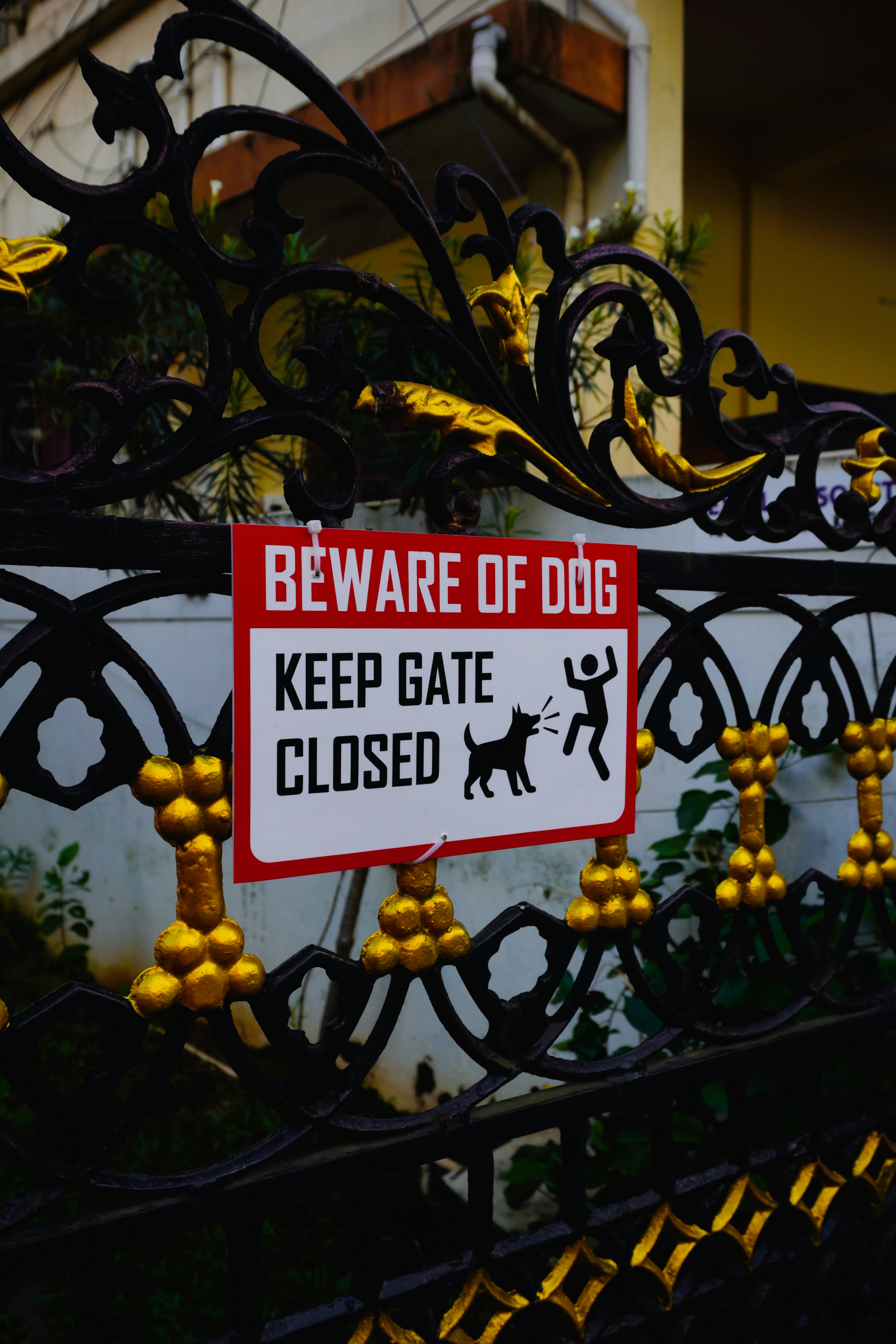 Beware Gate: A Signage Moment on a Wrought Gate