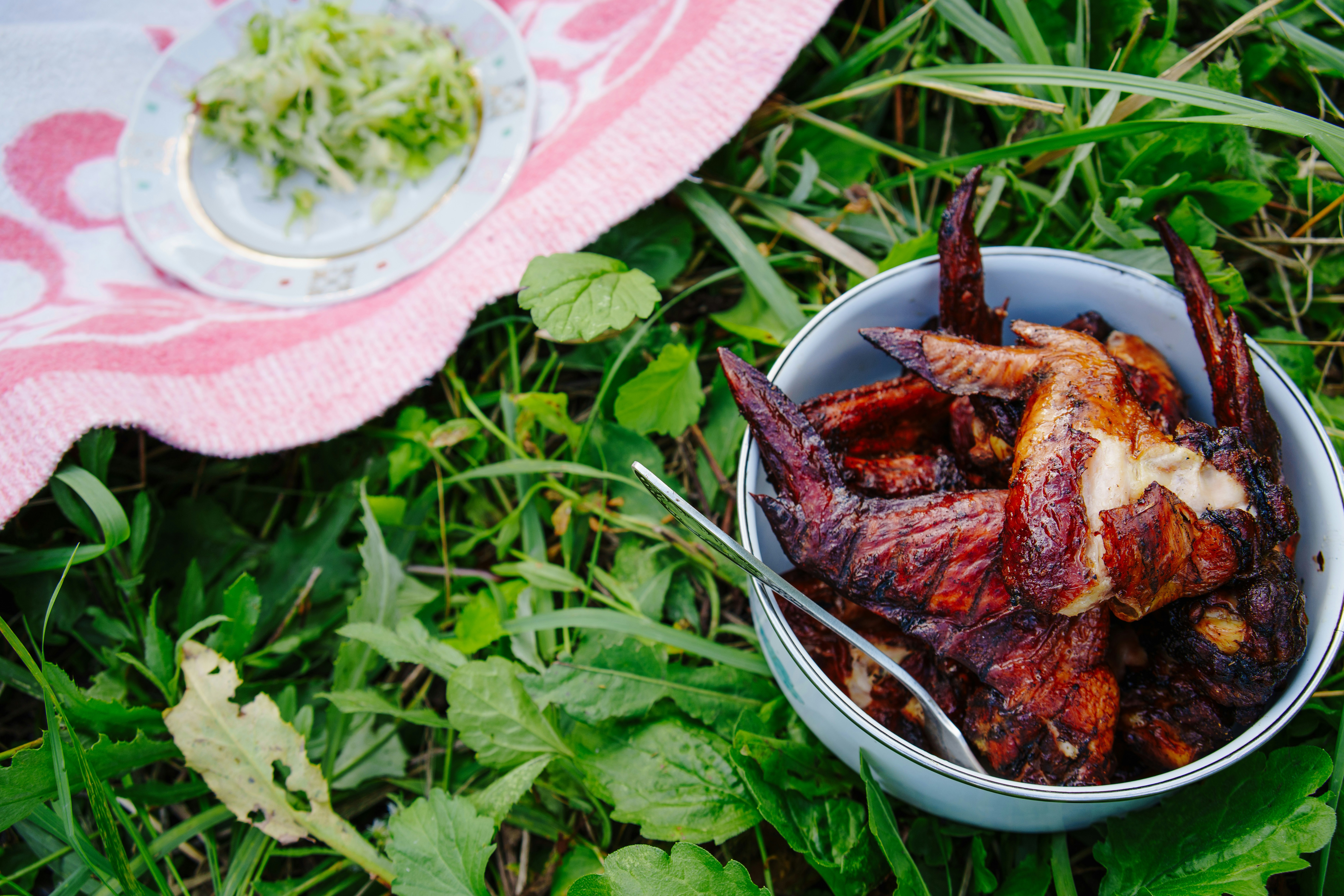 Charred Picnic Bowl: Grilled Meat on a Grass-Creen