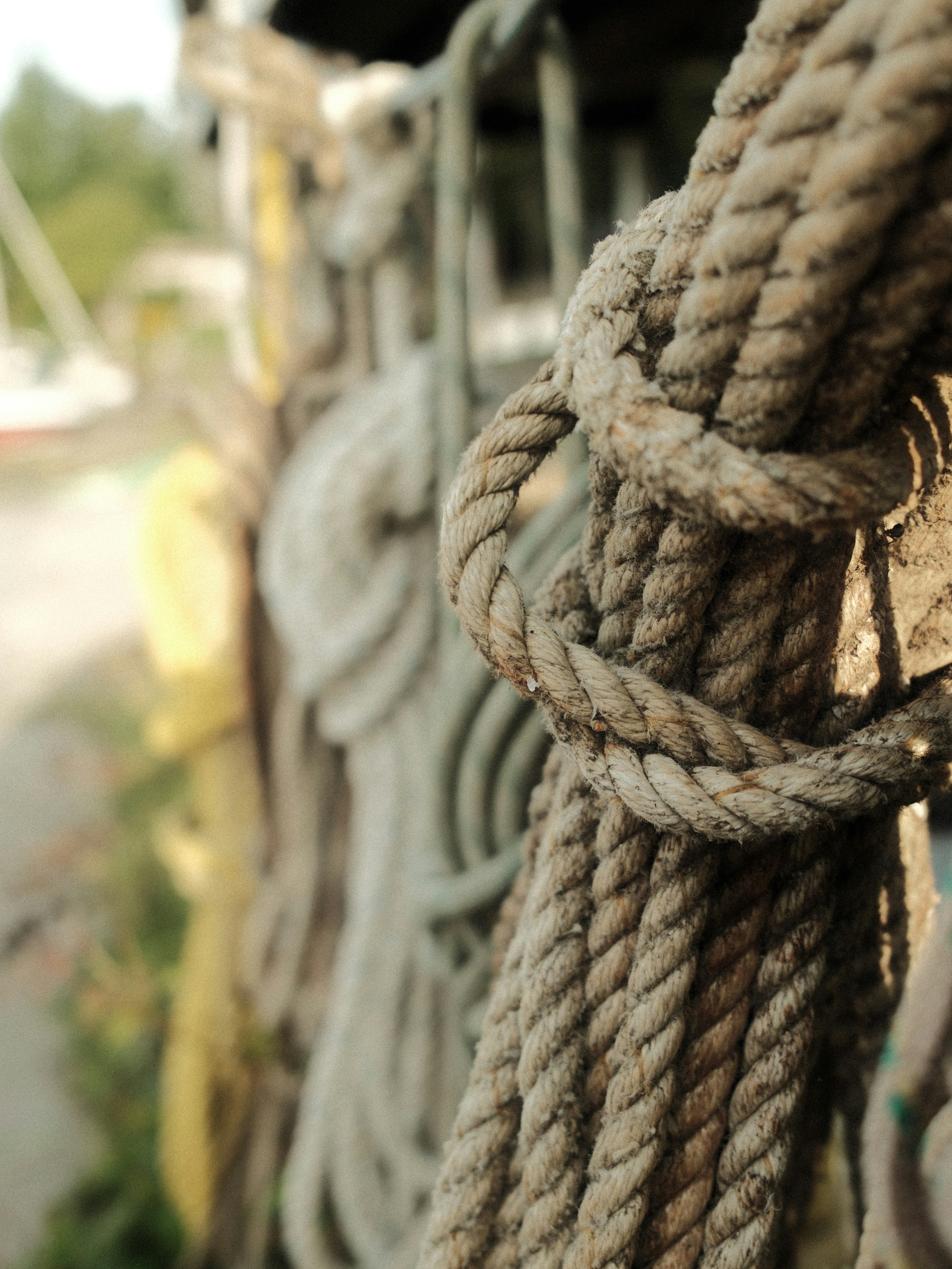 Tethered Threads: Weathered Ropes in Quiet Focus