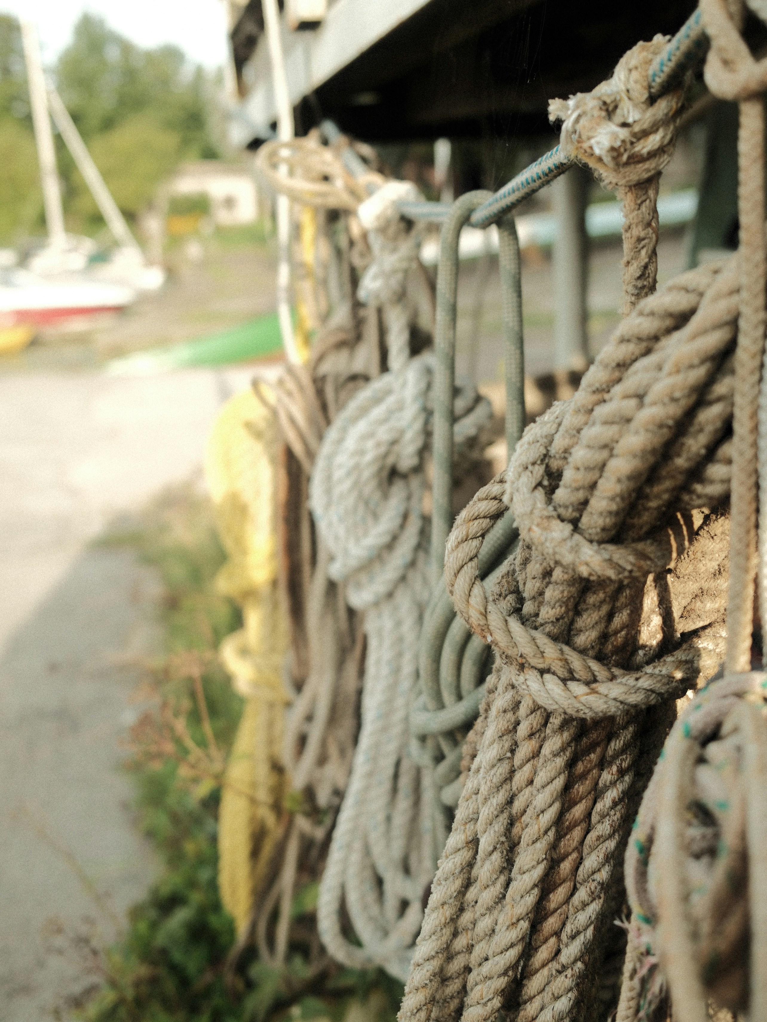 Tangled Lines: A Close-Up of Weathered Ropes by the Shore