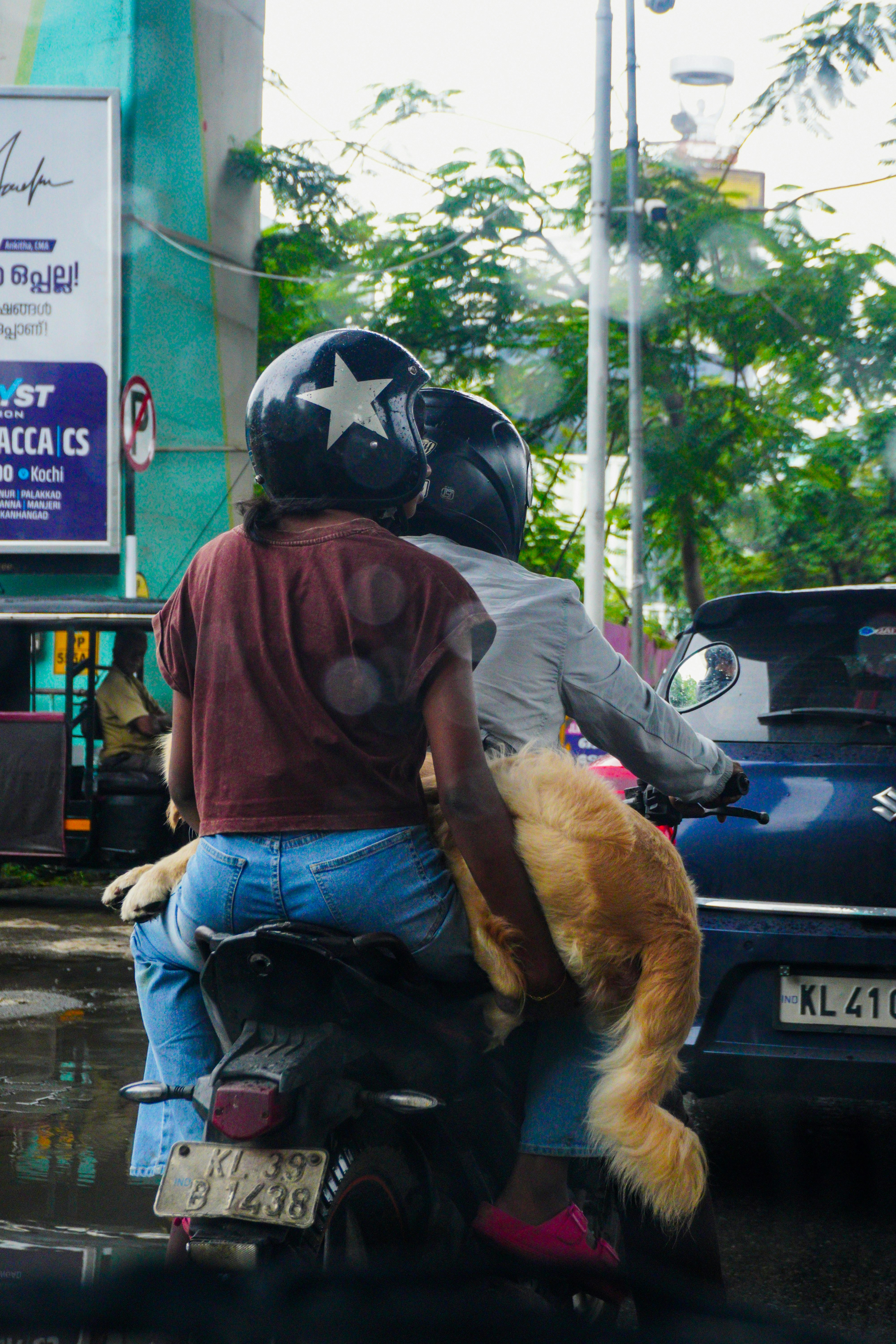 Backside Ride: A Dog-Clad Duo on a City Street Escape
