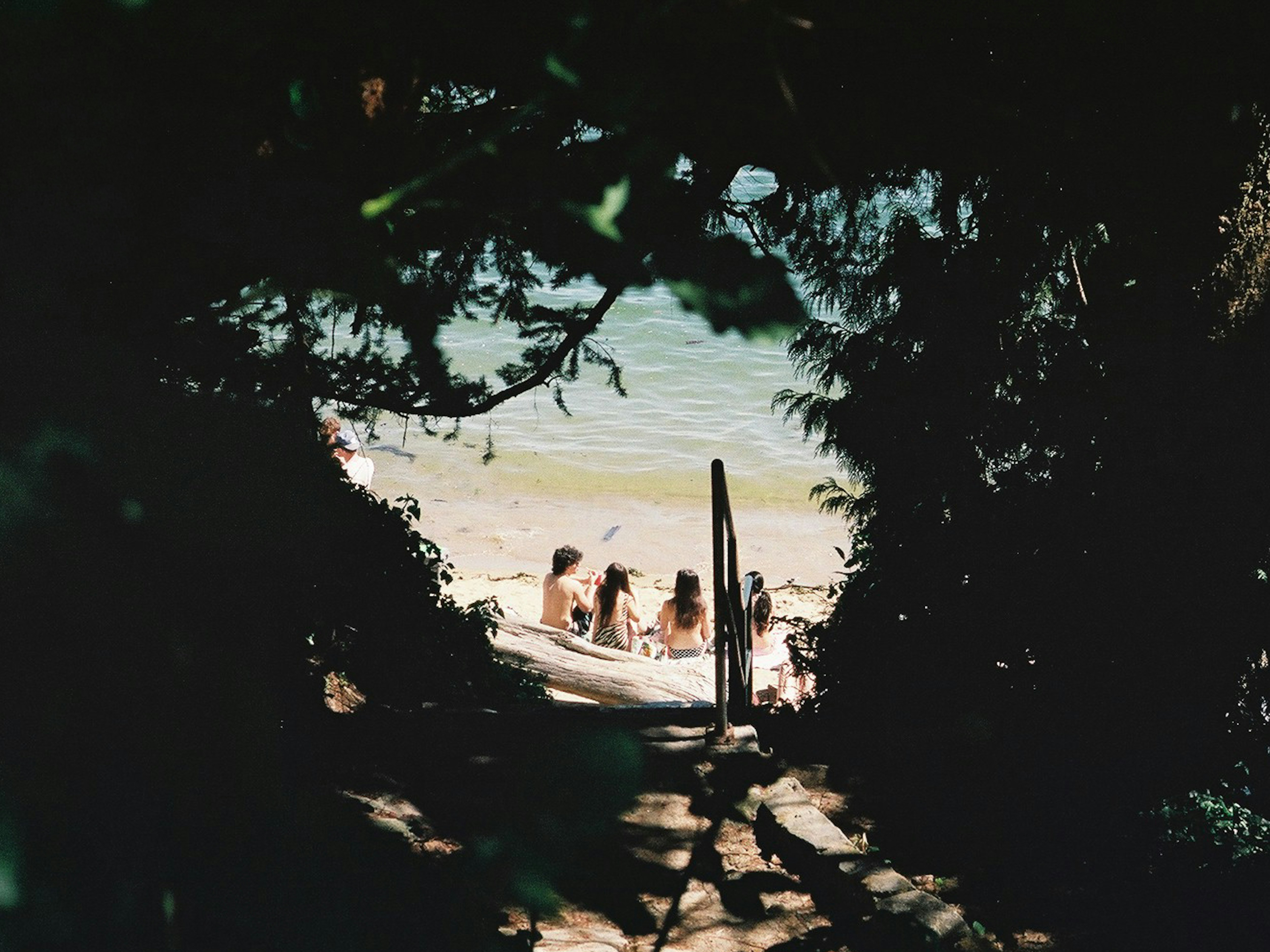 Hidden Cove of Sunlit Sand: A Secluded Beach Moment Framed by Shade
