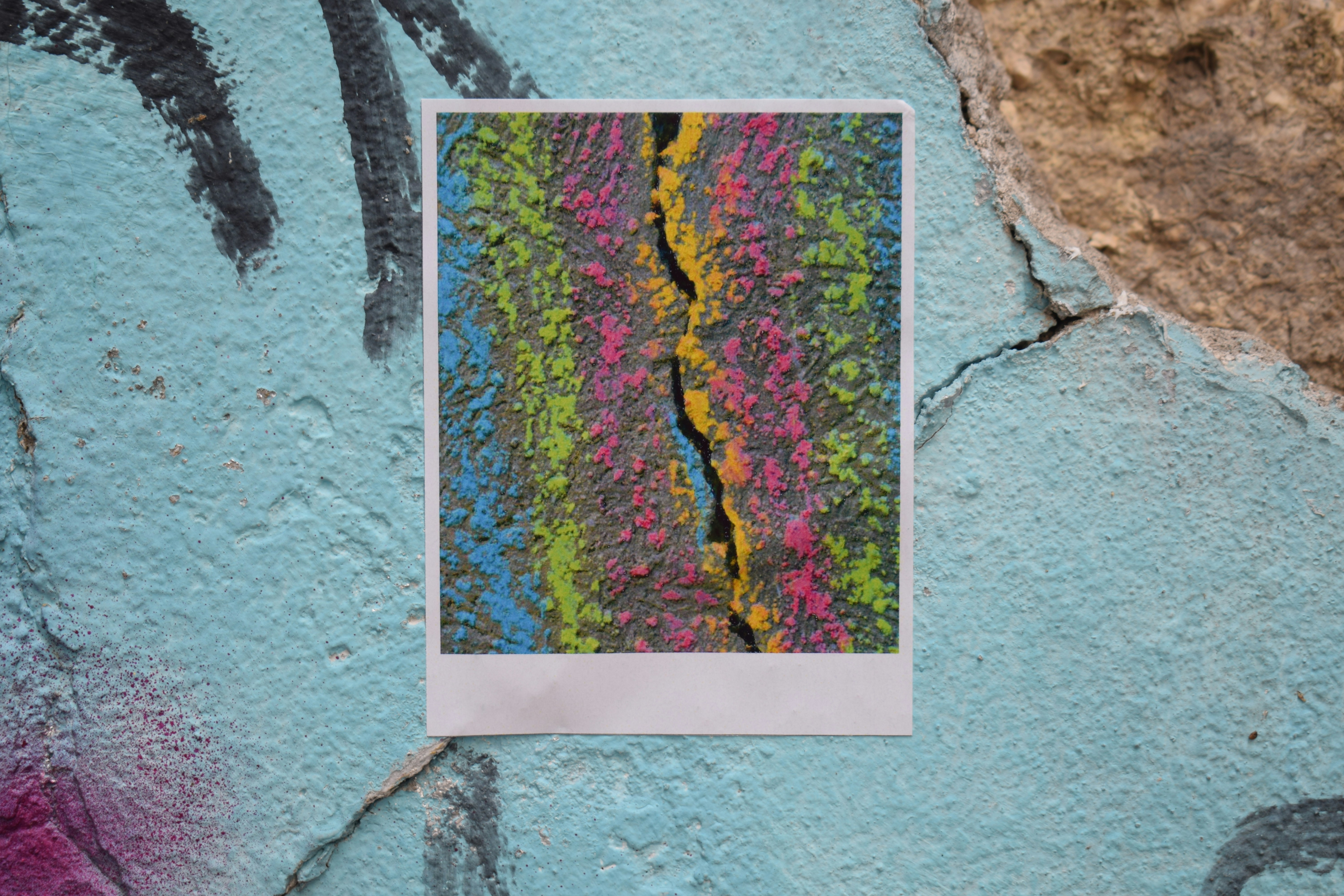 Cracked mural: neon petals split by a weathered seam
