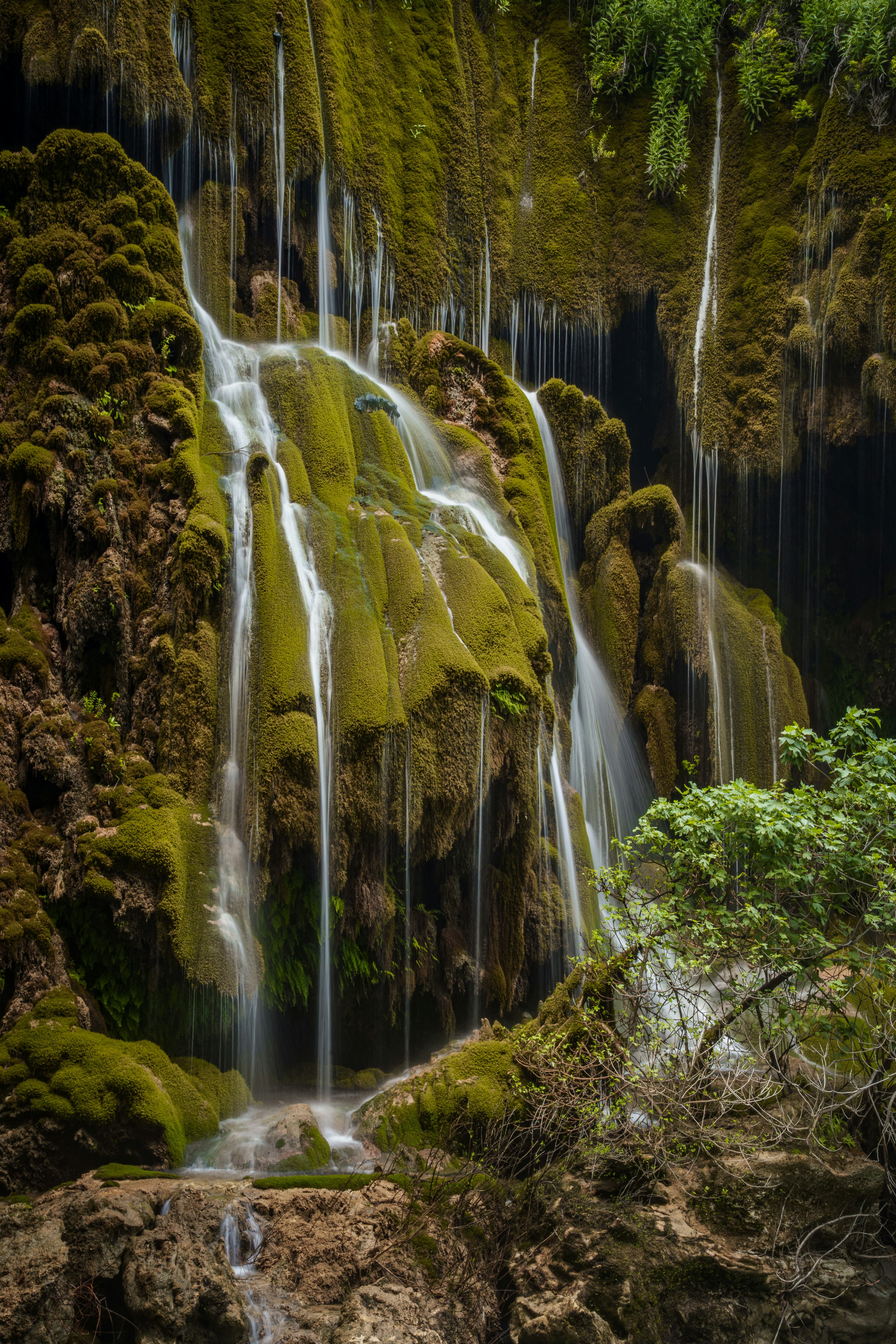 Moss-clad Cascade: A Quiet Descent Through Velvet Greens