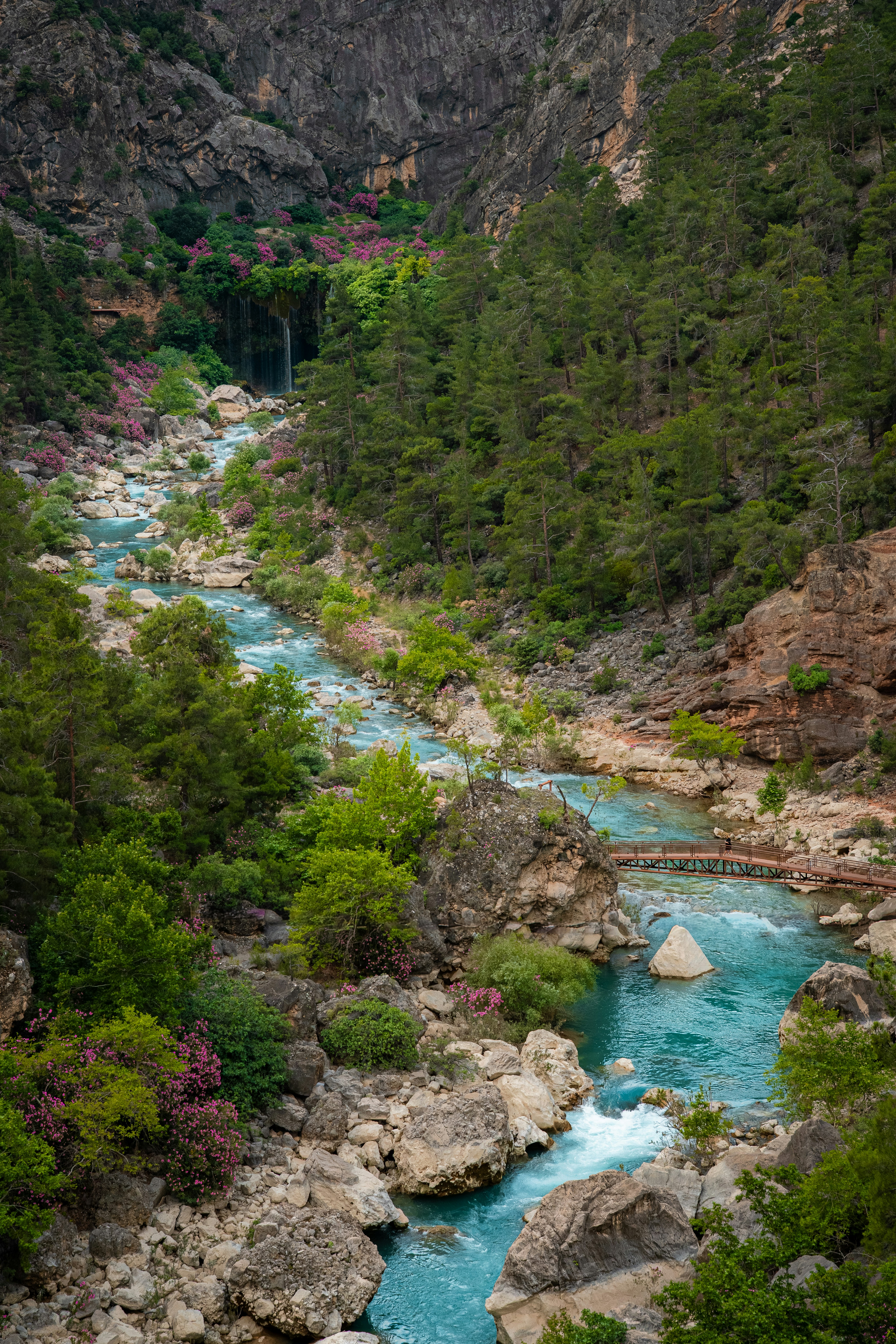 Vibrant Turquoise River Winding Through Rugged Canyon