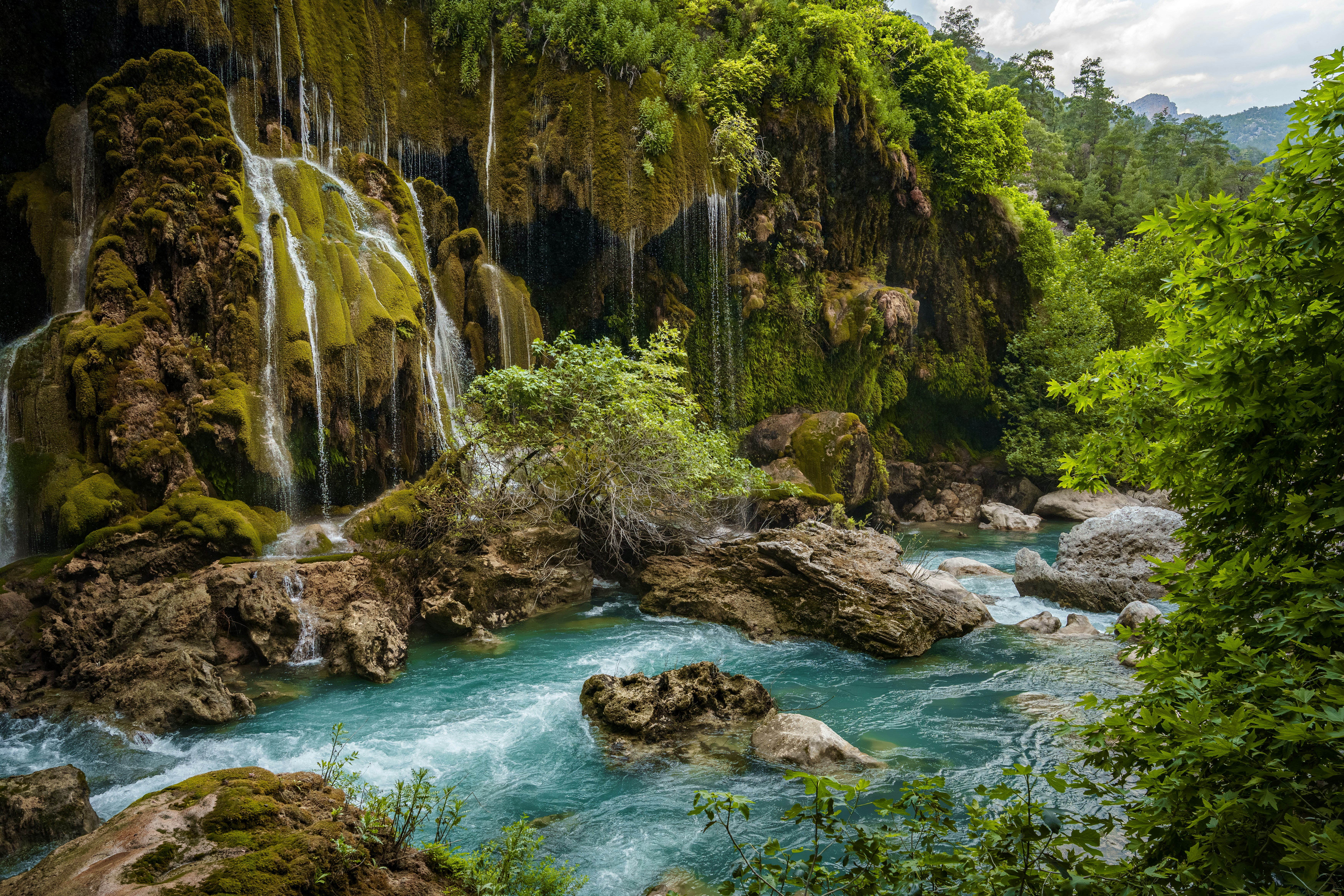 Verdant Cascades: Turquoise River Weaving Through Mossy Cliffs