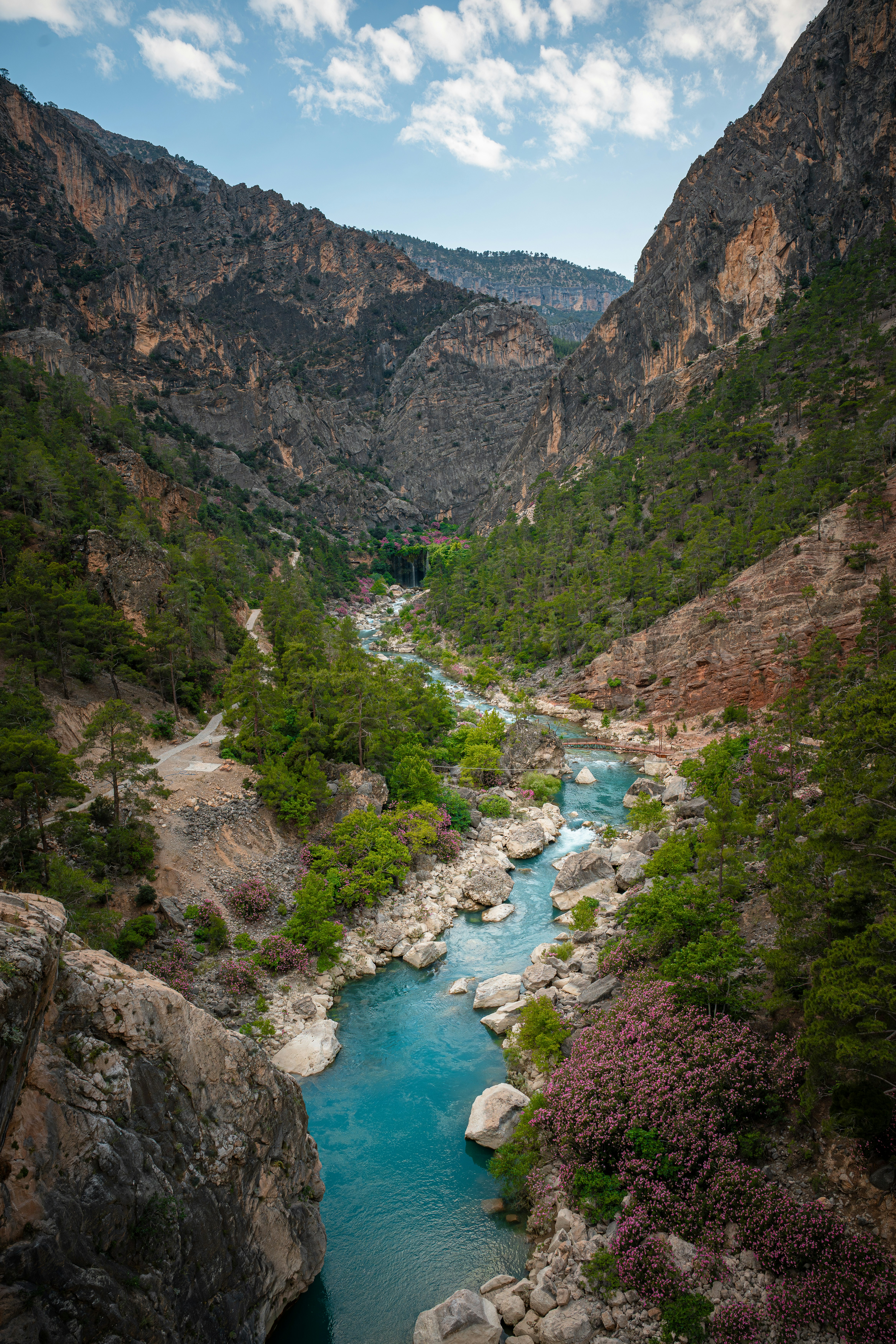 Turquoise River Winding Through a Canyon of Pines and Purples