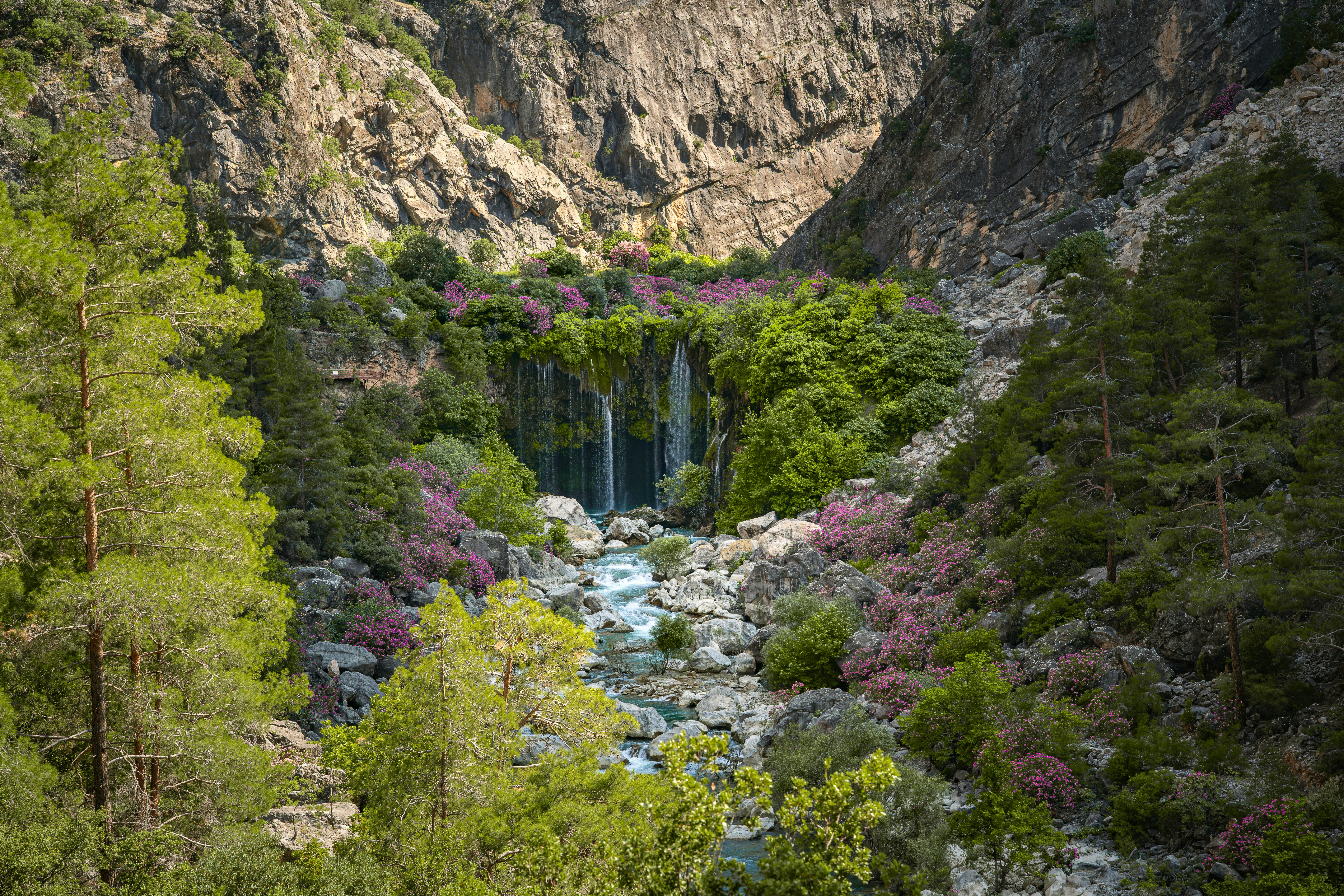 Cascade Grove: A Rugged canyon with a whispering river and blooms