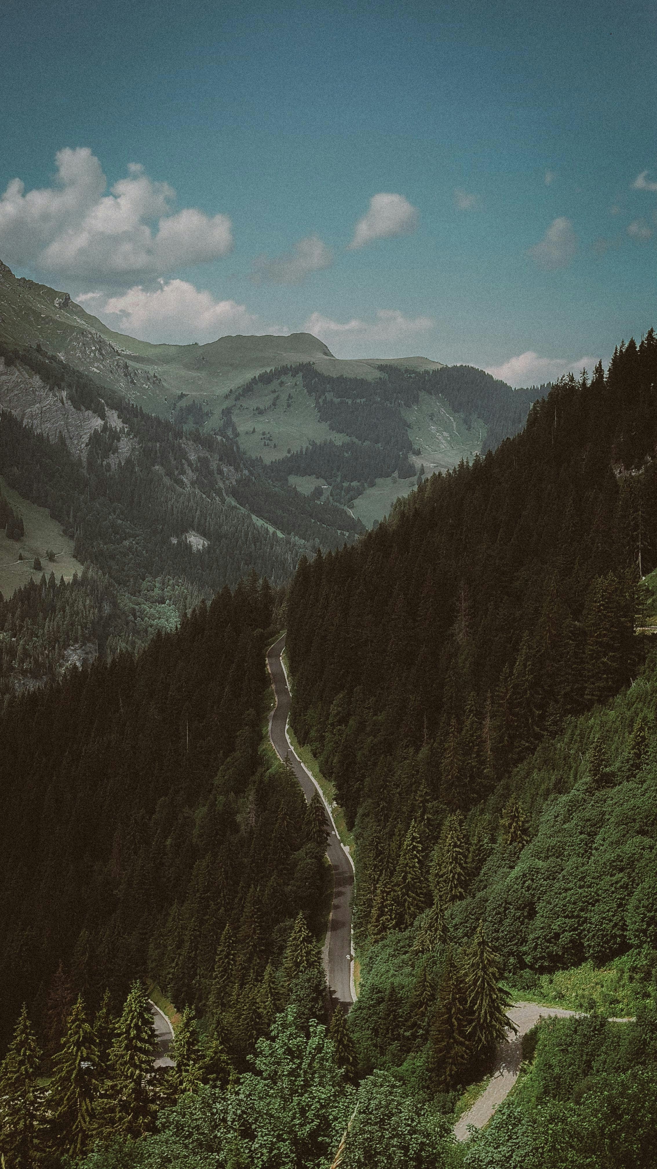 Winding mountain road threads between dense pine forests under a blue sky with scattered clouds. The composition emphasizes depth and the ascent of valley slopes in a serene highland landscape. Logo-free scenic photograph.