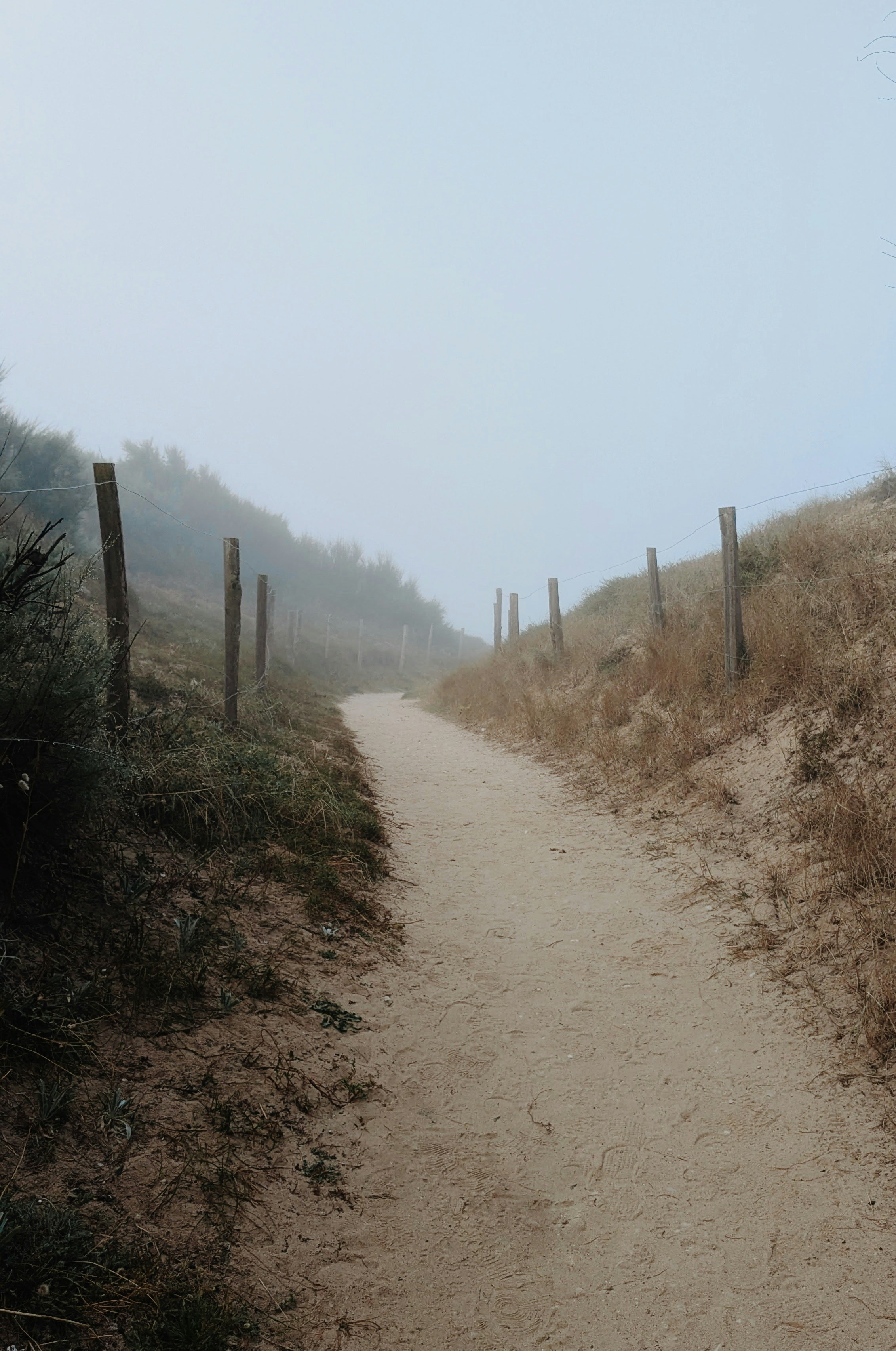 Mist on the Dune Path: A Foggy Walk Through Weathered Fences
