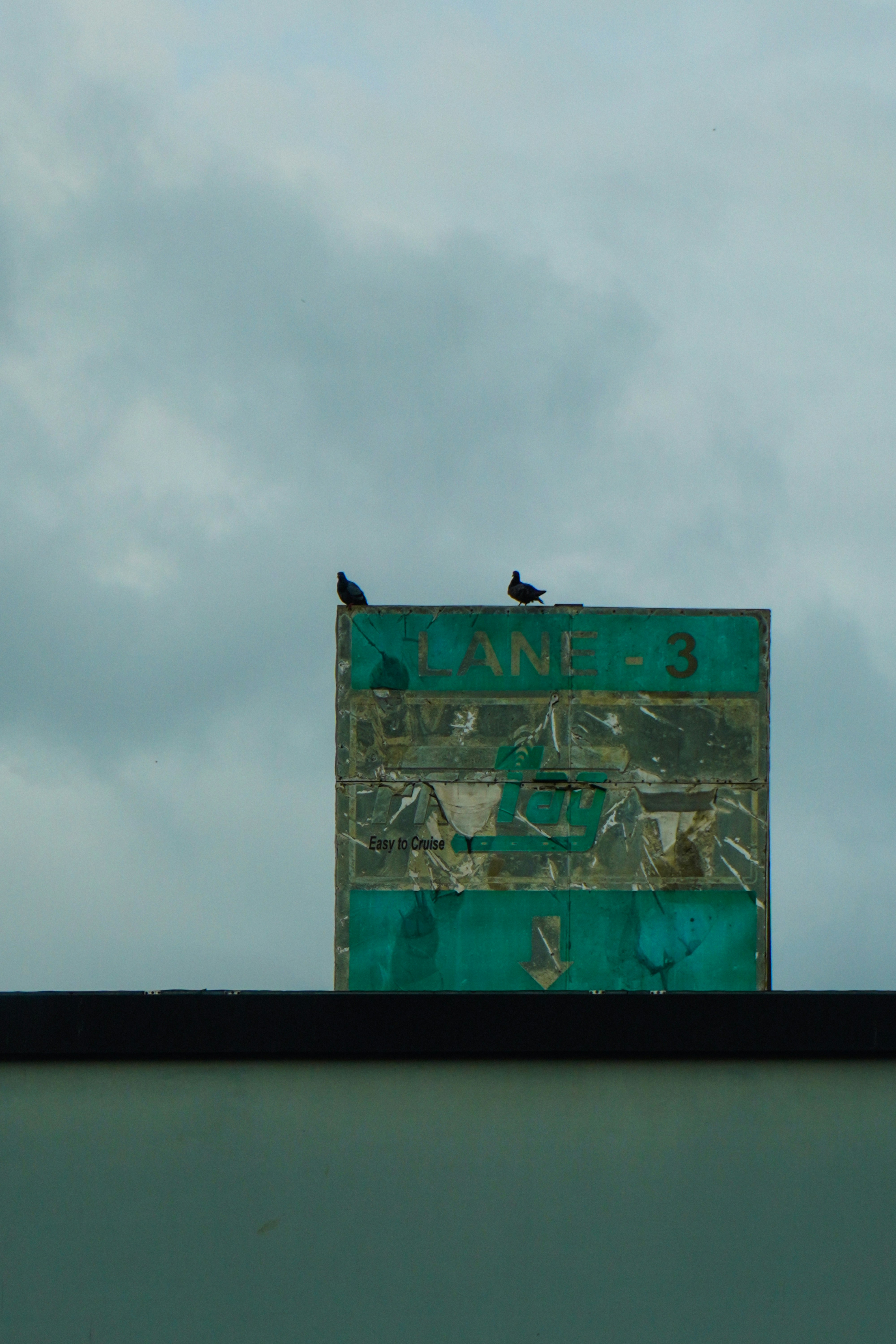 Birds on a Weathered Lane Sign