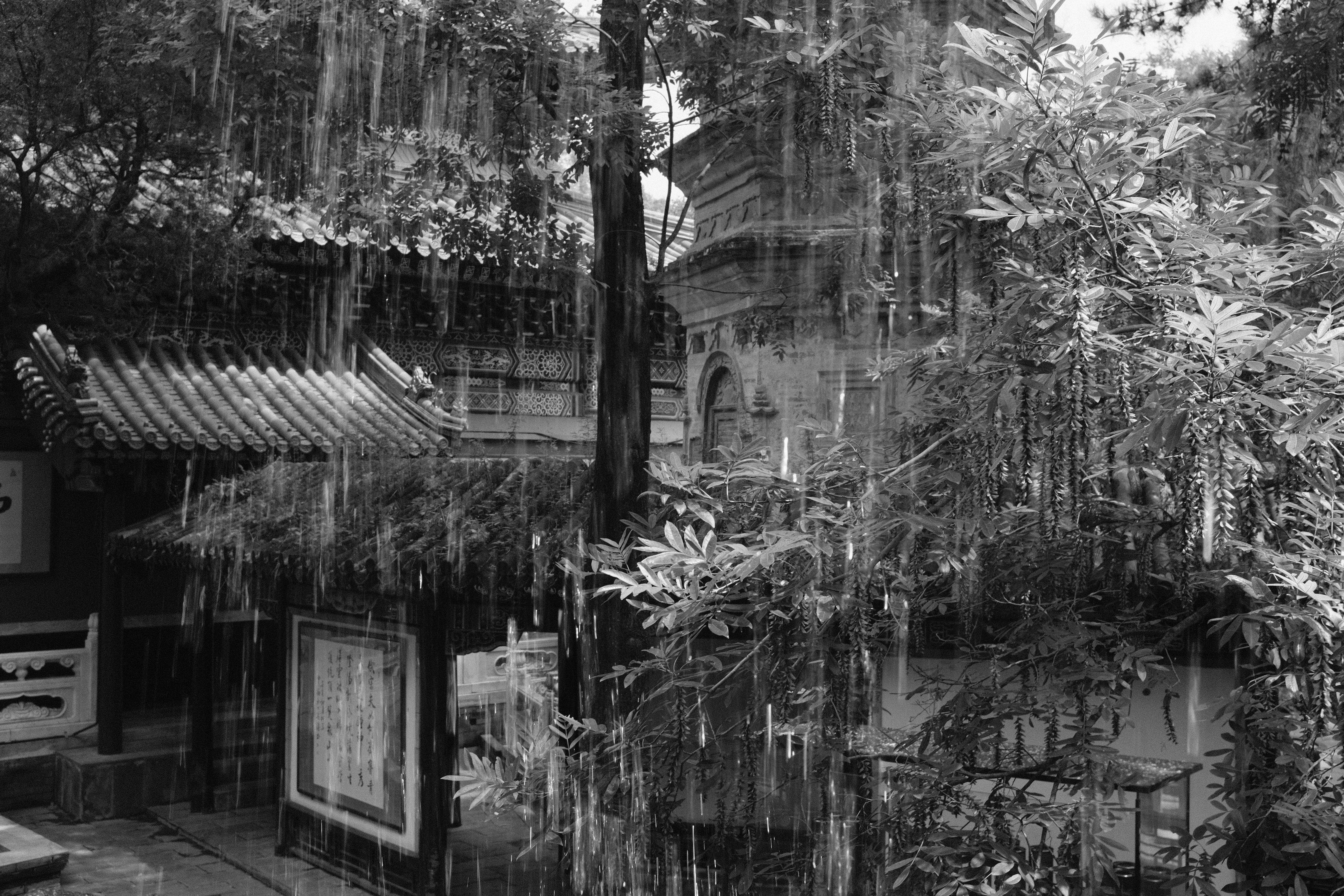 Whispering Courtyard Through Rain-Glazed Glass