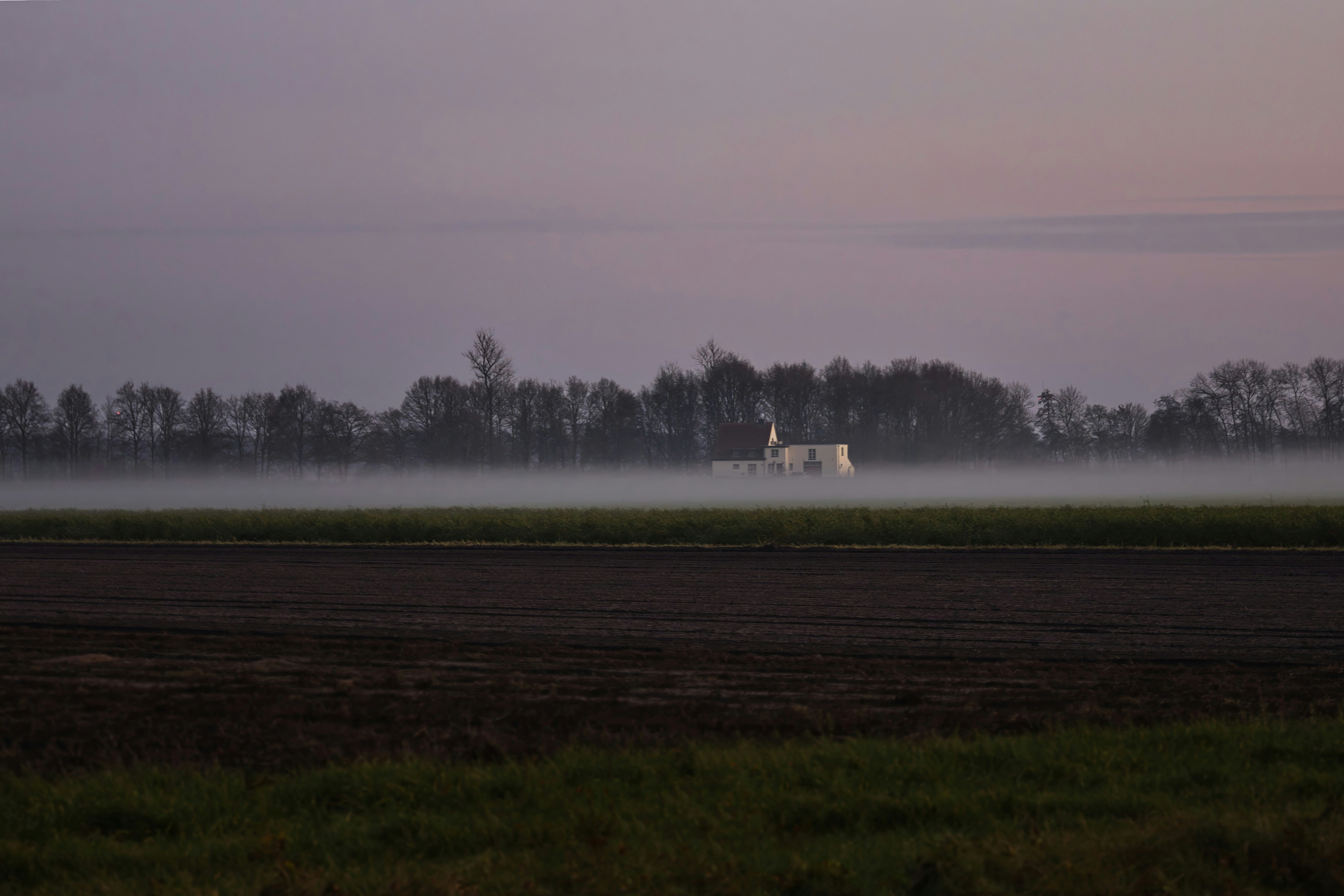 A solitary white house sits along a misty field line, with a distant tree row and a soft pastel sky, conveying calm morning atmosphere.