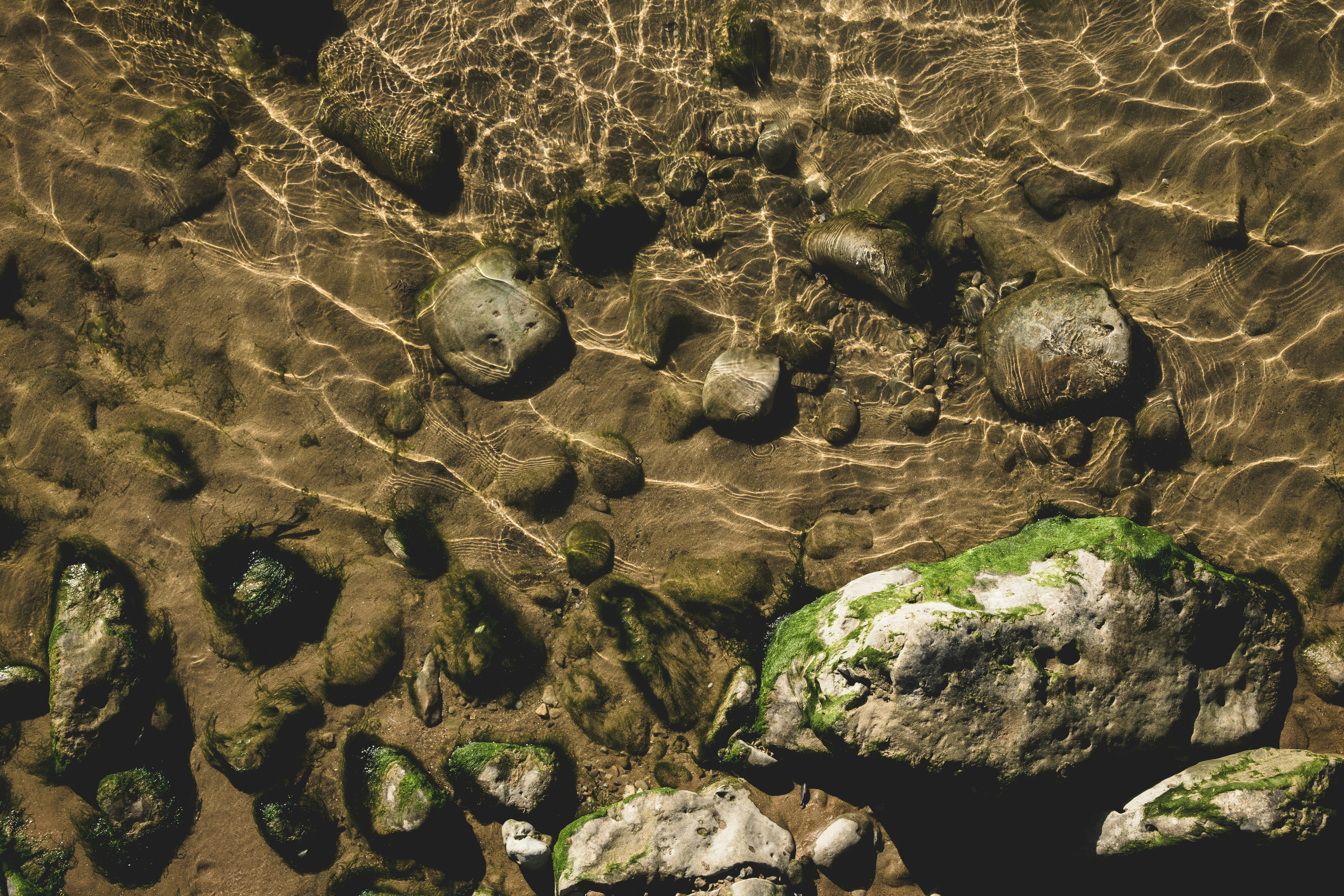 Clear, sunlit shoreline reveals mossy rocks and smooth pebbles in shallow water. A natural mosaic of textures and tones across a rocky riverbed.