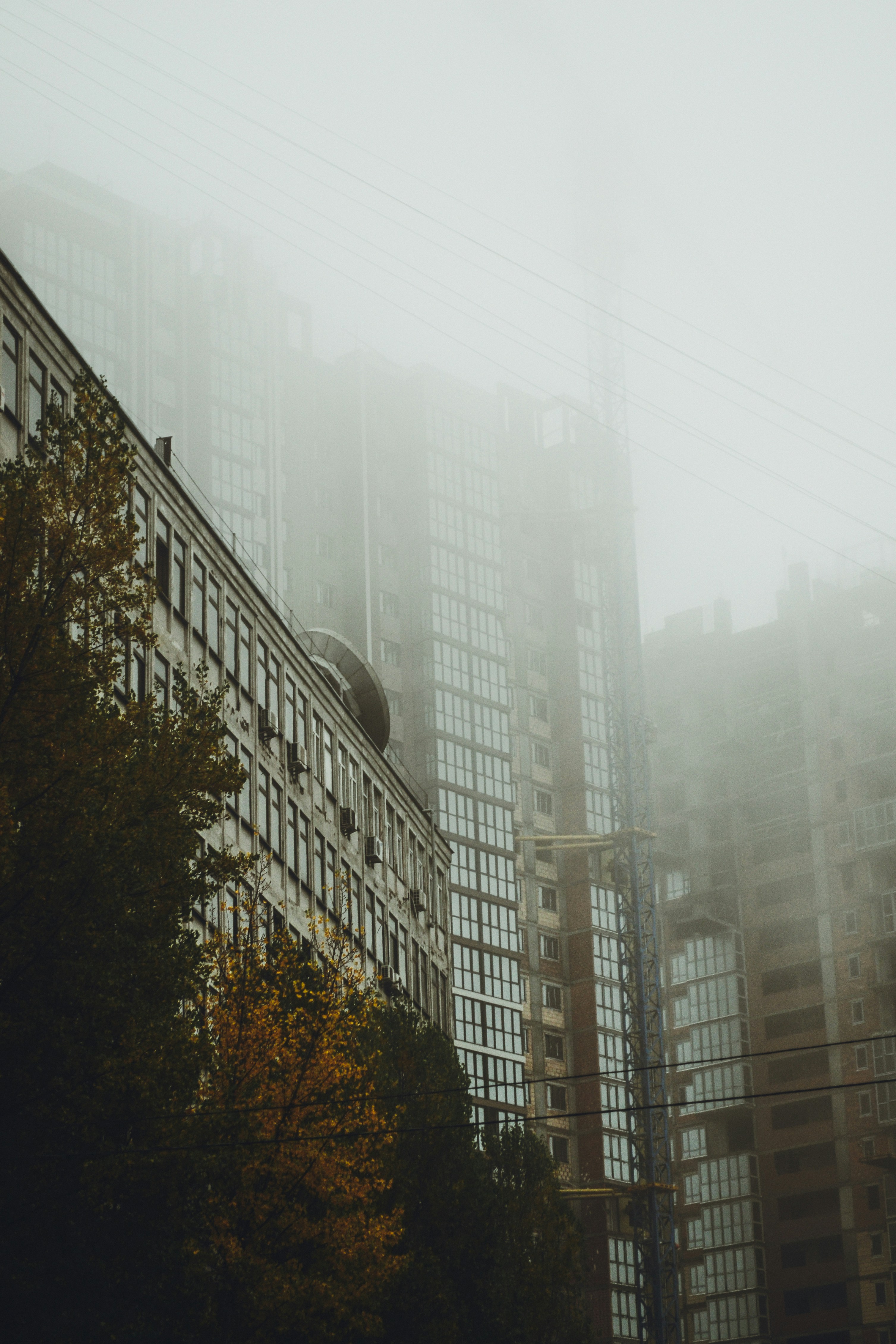 Fogbound Towers Breathe Quietly Over a Snow-Cooled Street