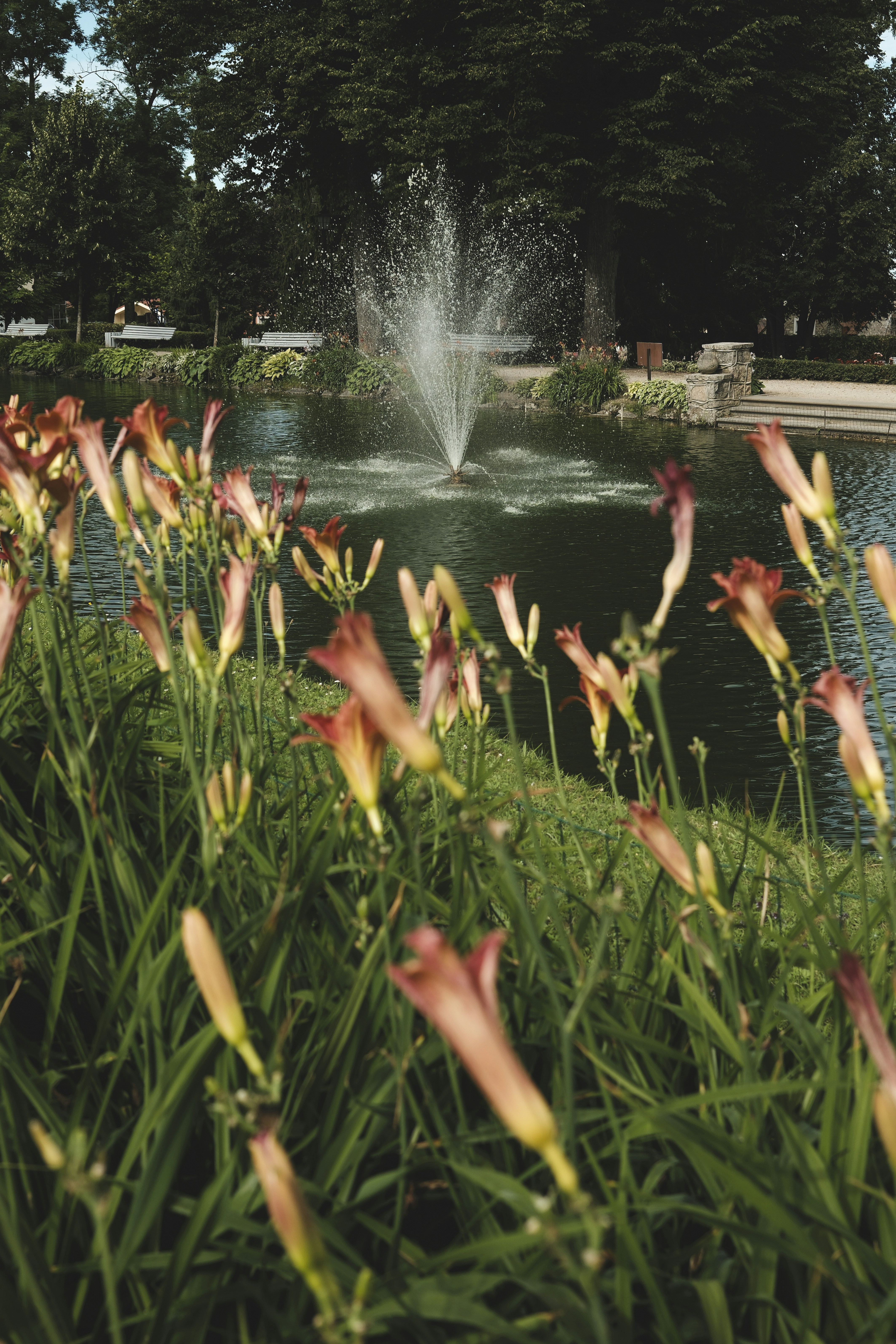 Vibrant daylilies frame a tranquil pond and central fountain, with park steps and greenery in the background. (A garden scene, not a logo or illustration.)