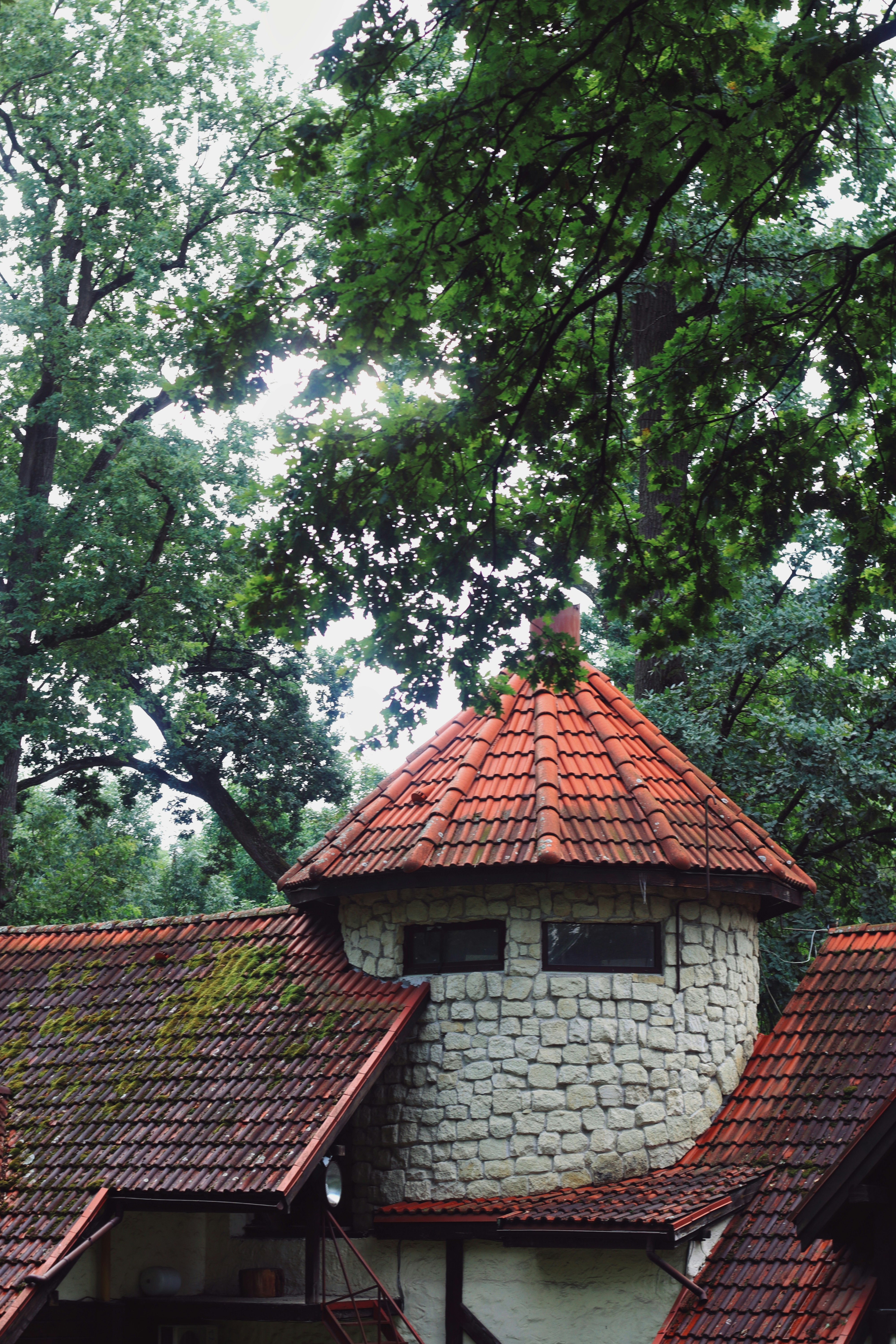Red-roofed stone turret rising among green canopy