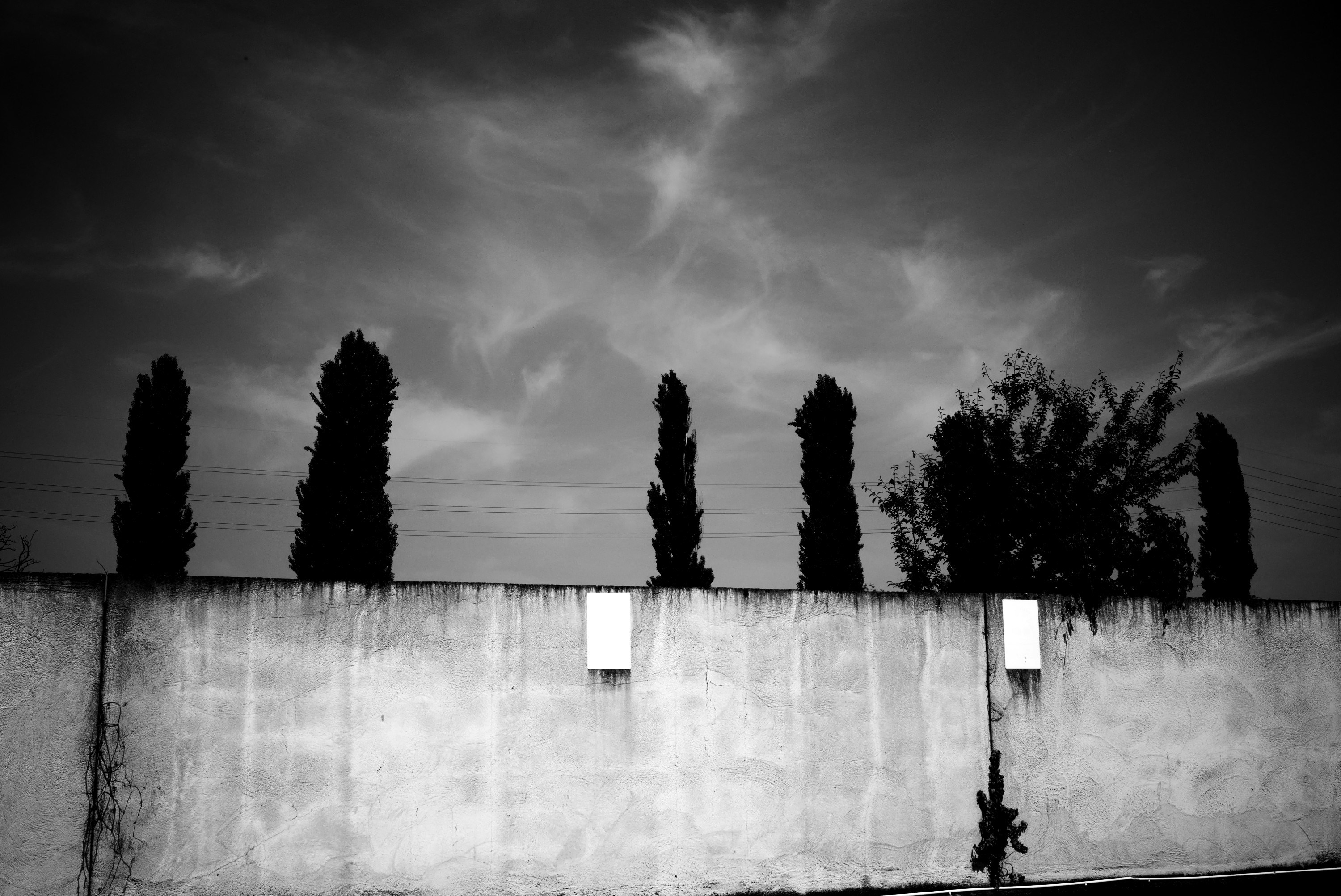 Line of trees over a stark concrete wall under a moody sky
