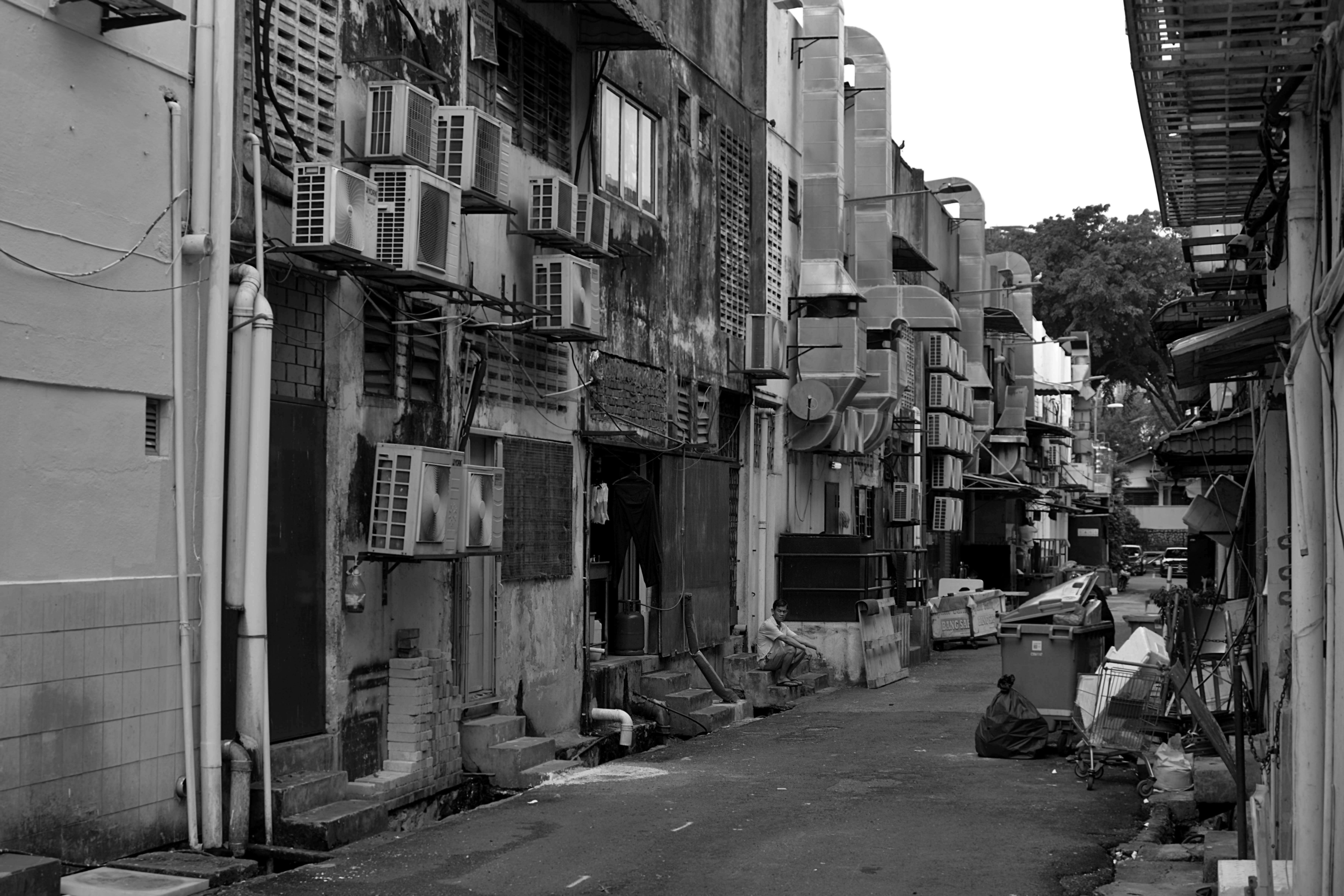 Narrow Alleyway Echoes: A Quiet Corridor of Urban Dwellings