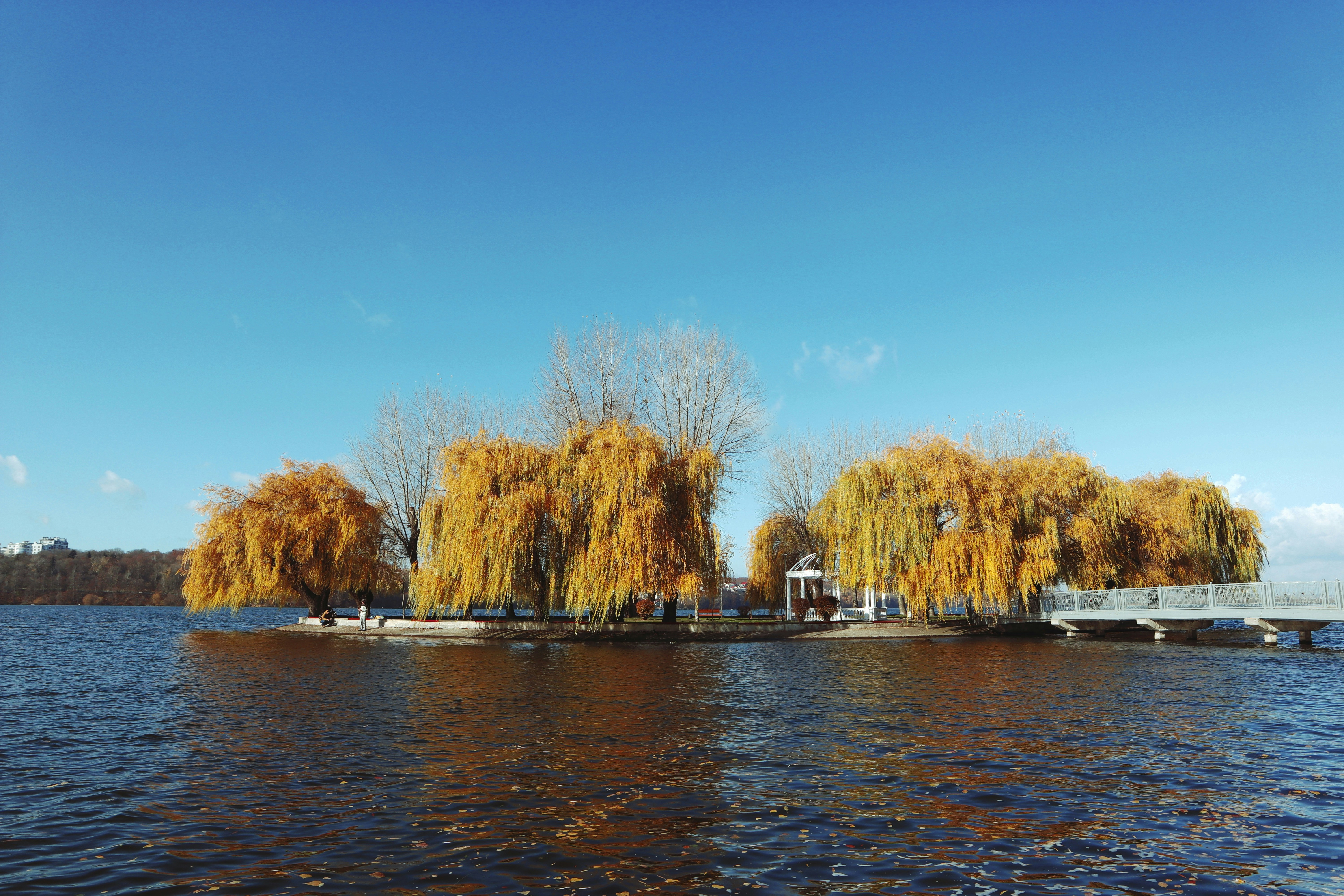 Willow Islands at Dusk: Golden Trees on Calm Waters