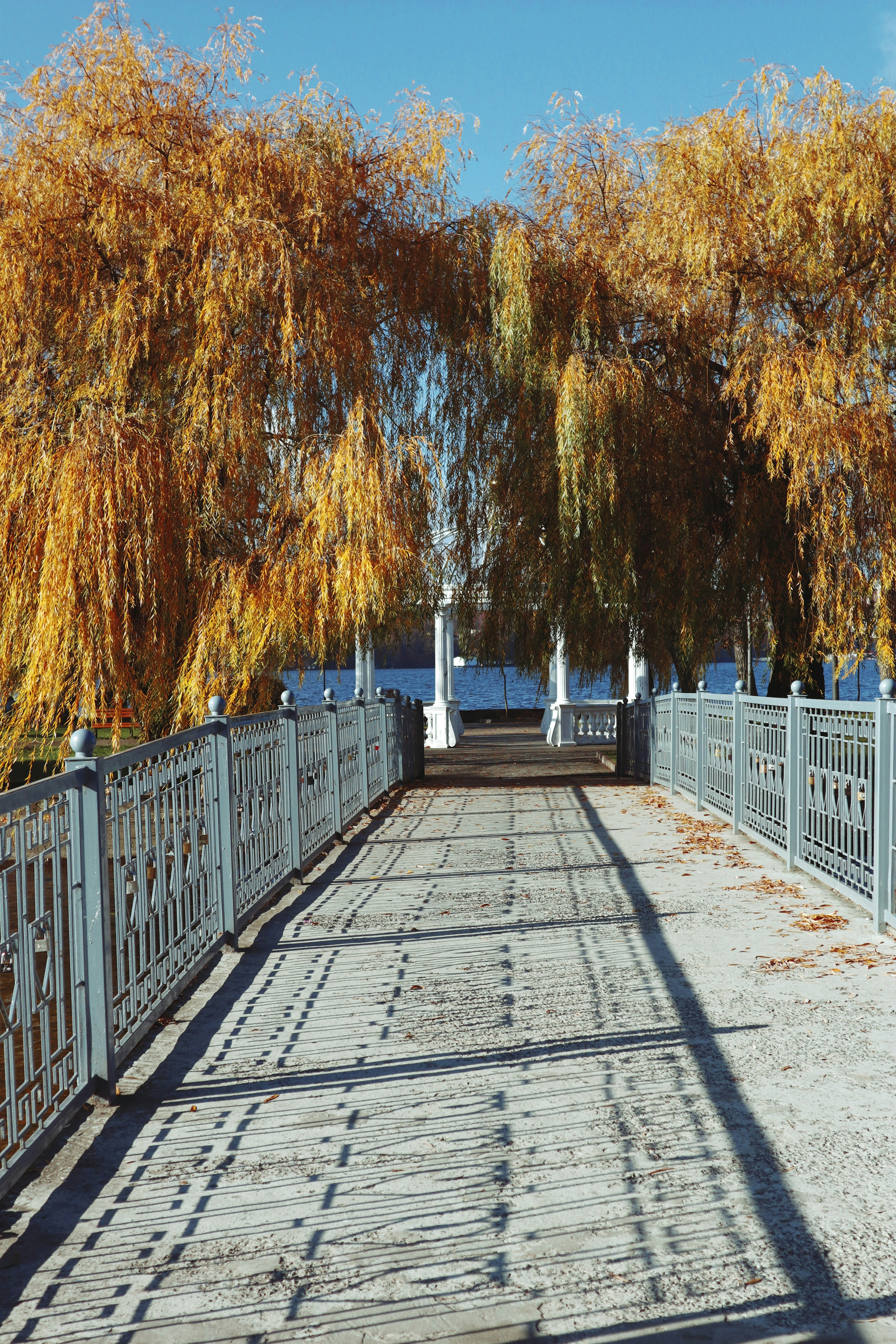 Golden Arbor Bridge: Autumn Light Over the Quiet Gridded Path