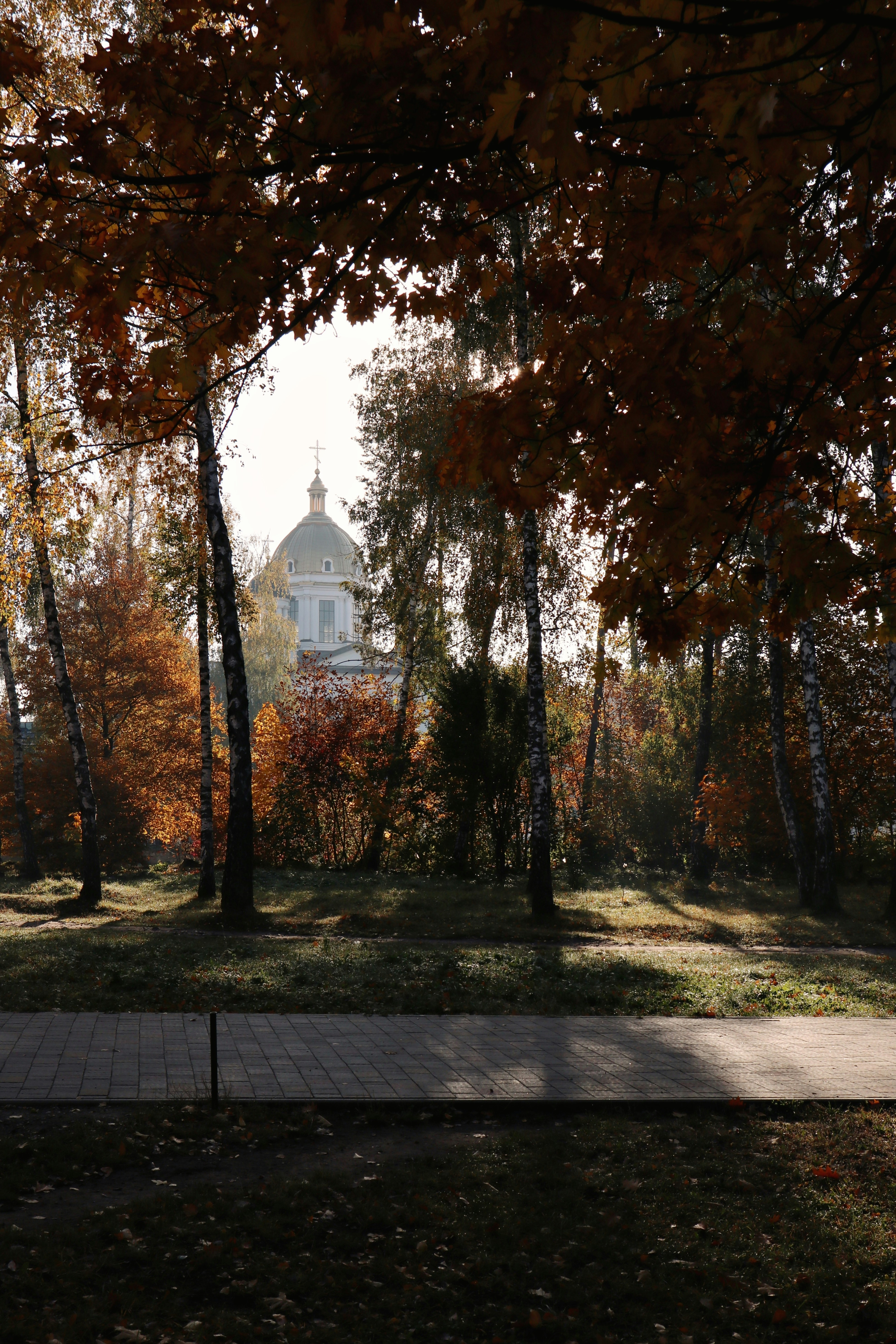 Sunlit dome peeking through autumn canopy