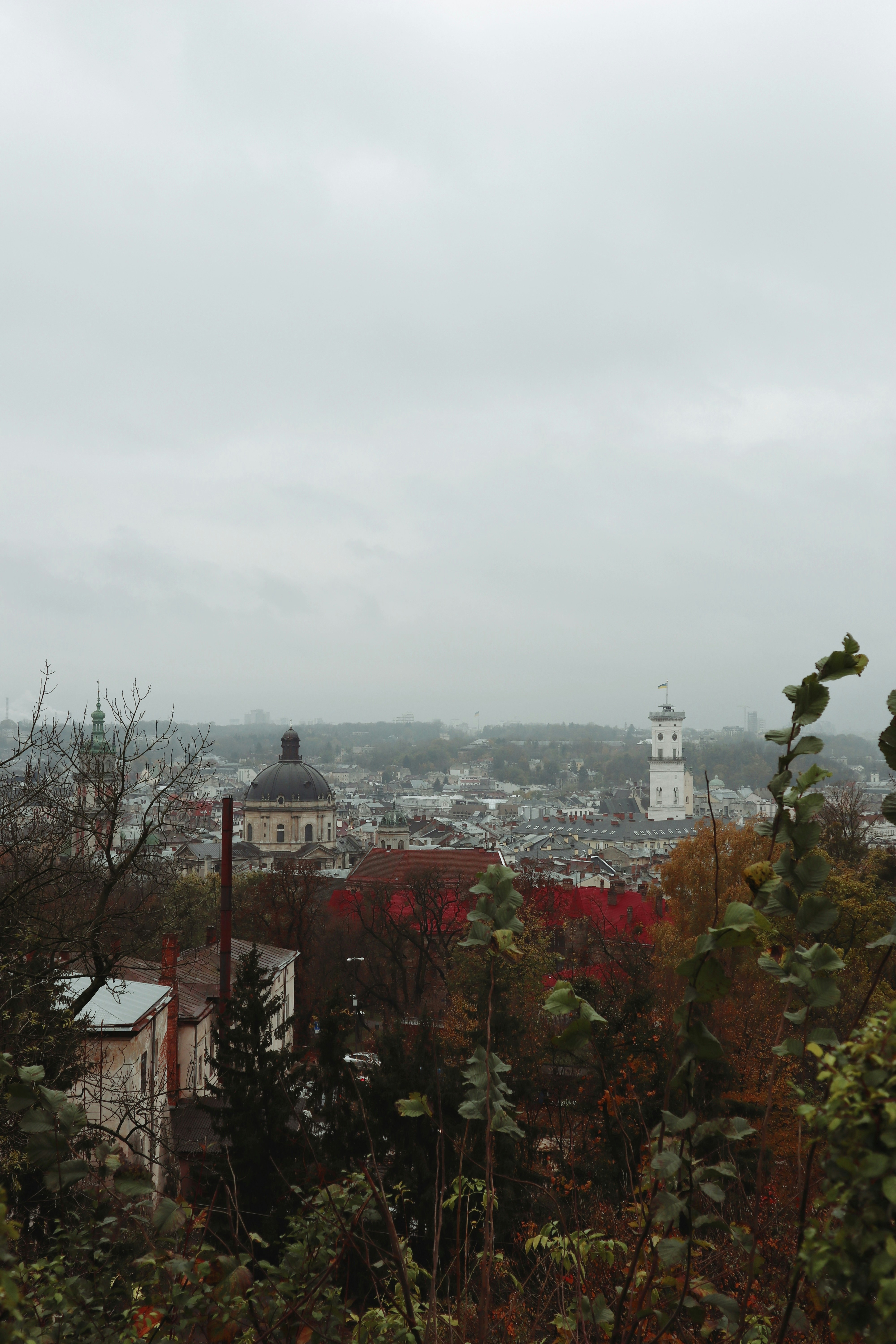 Overlooking the City: A Quiet Autumn Horizon