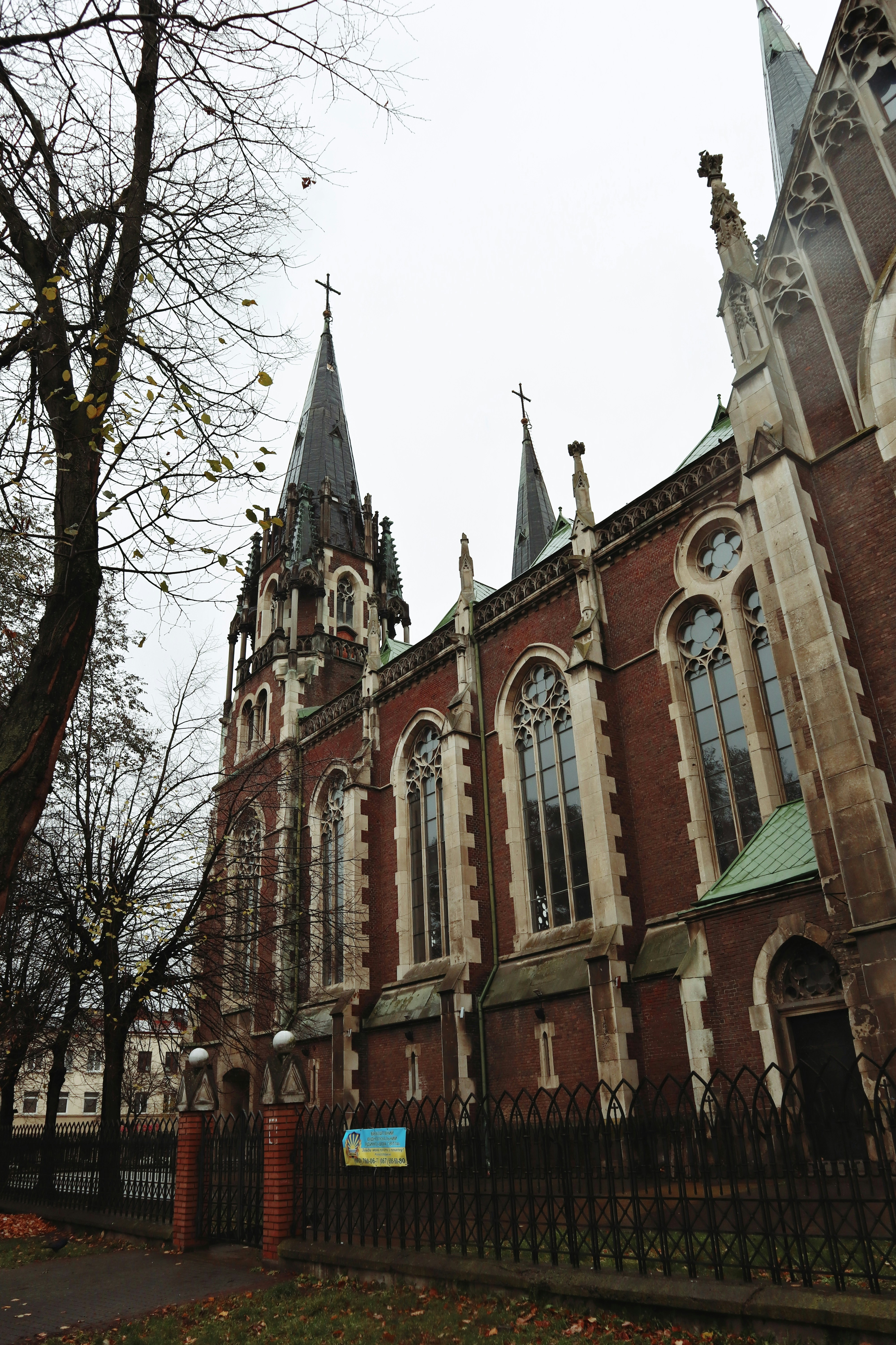 Gothic Cathedral Lines Against Winter Sky