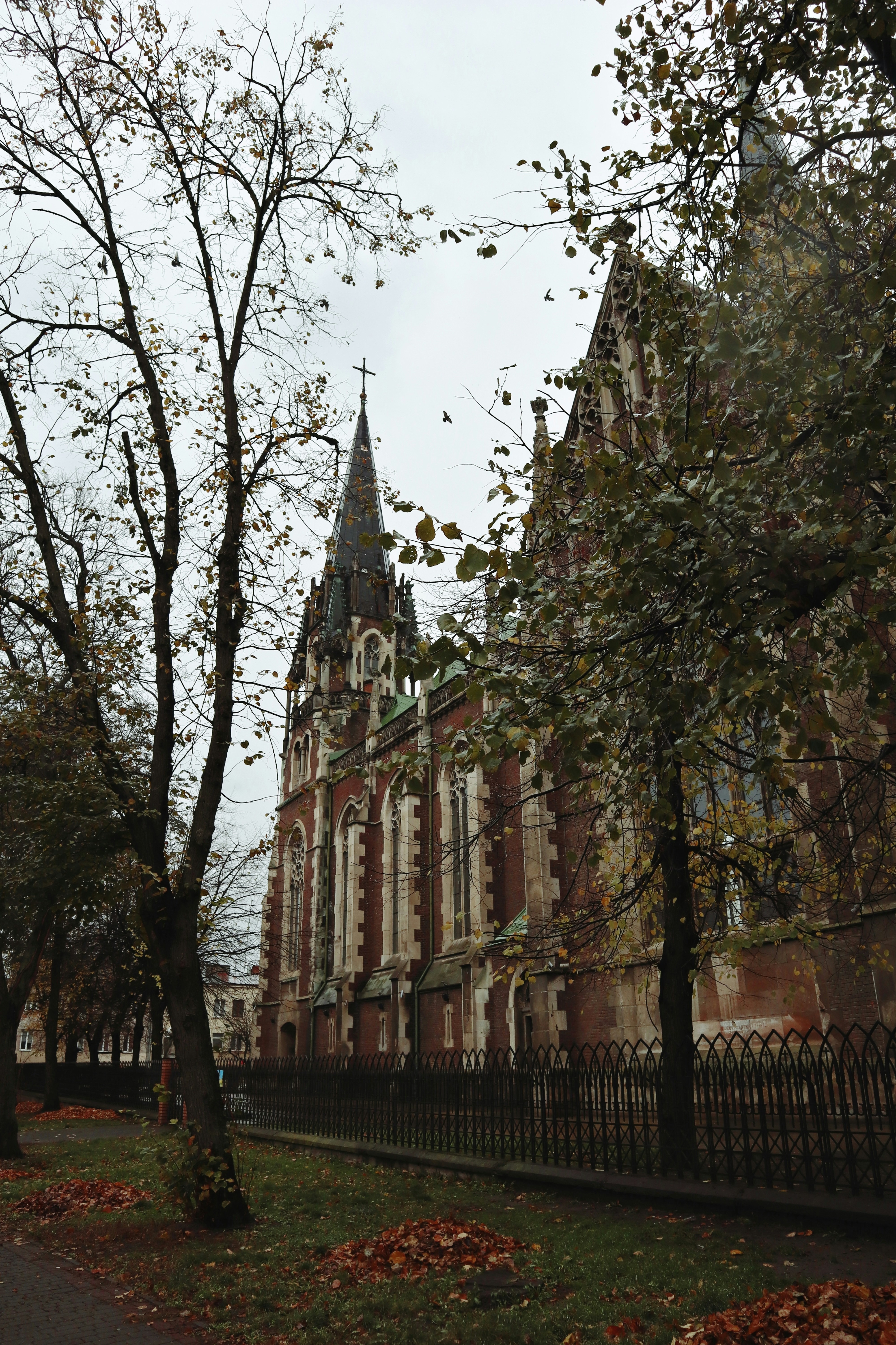Gothic Facade Amid Autumn Veil