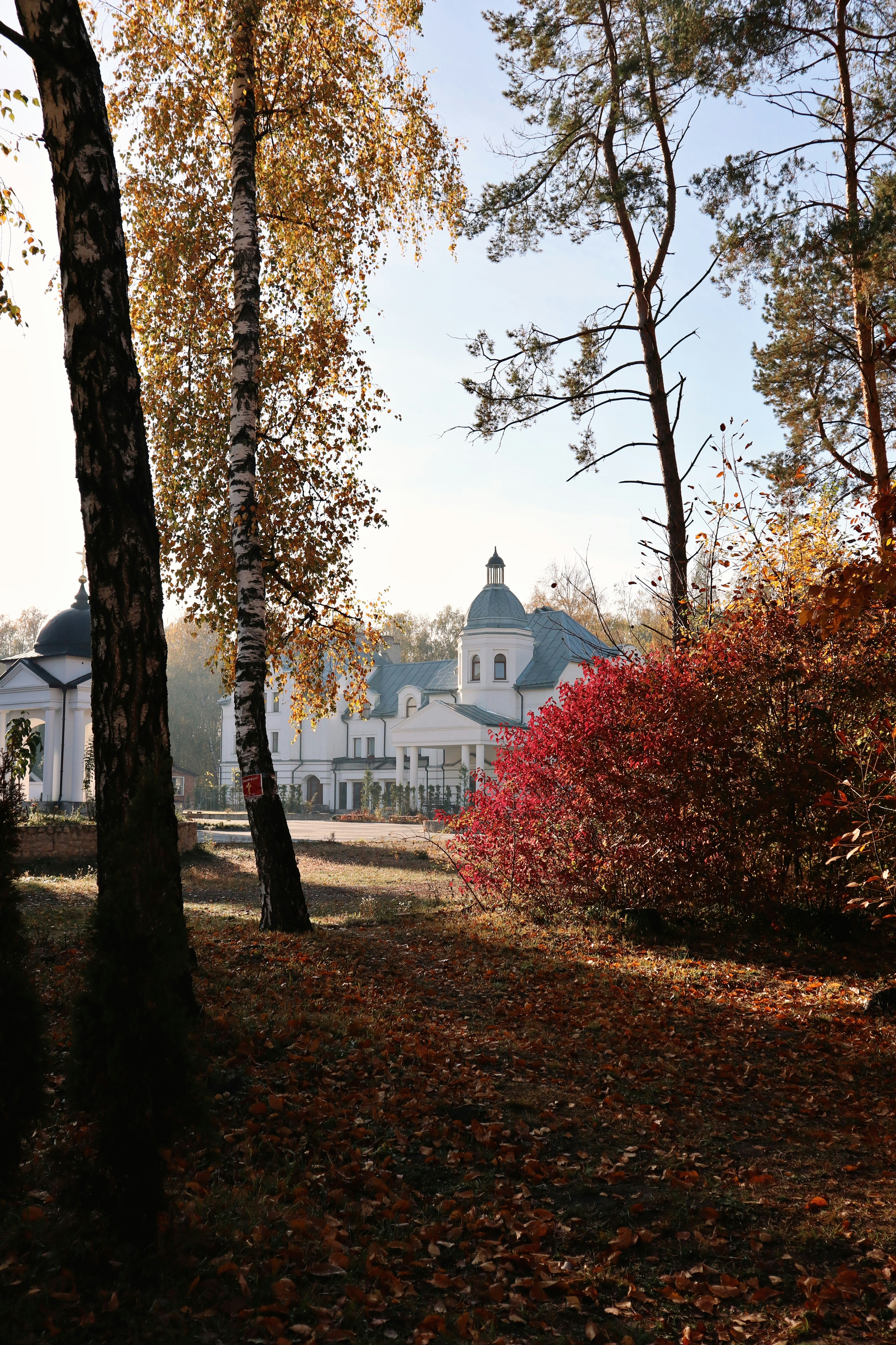A picturesque vertical shot of an elegant white architectural complex or manor house with a prominent dome, nestled within a vibrant autumn park. The scene is illuminated by warm morning sunlight, casting long shadows through tall birch and pine trees. A rich display of golden-yellow leaves on the left and bright red autumn bushes on the right beautifully frames the historic estate, creating a serene and nostalgic fall landscape.