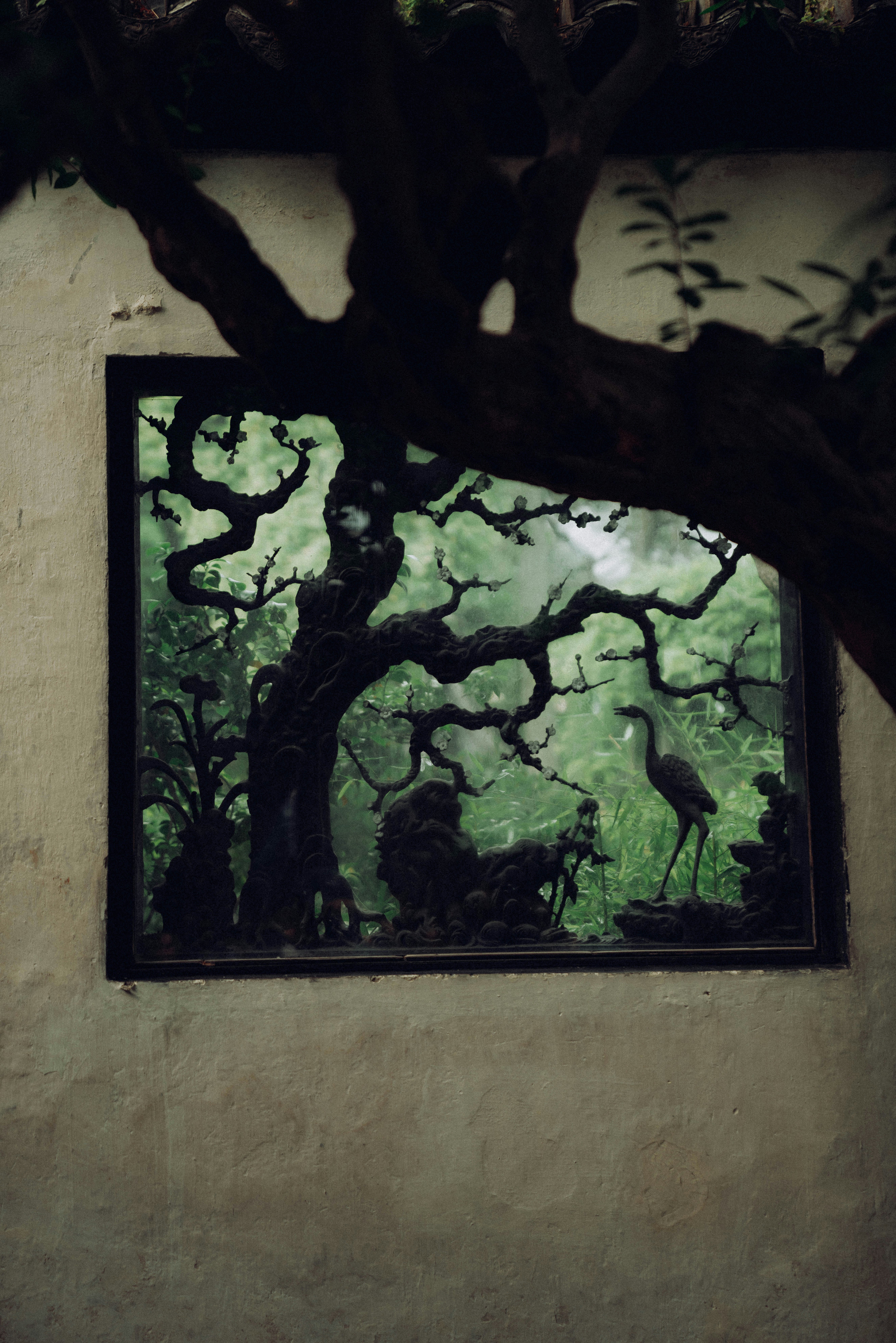 Framed Silence: A Gnarled Frame and Subtle Heron
