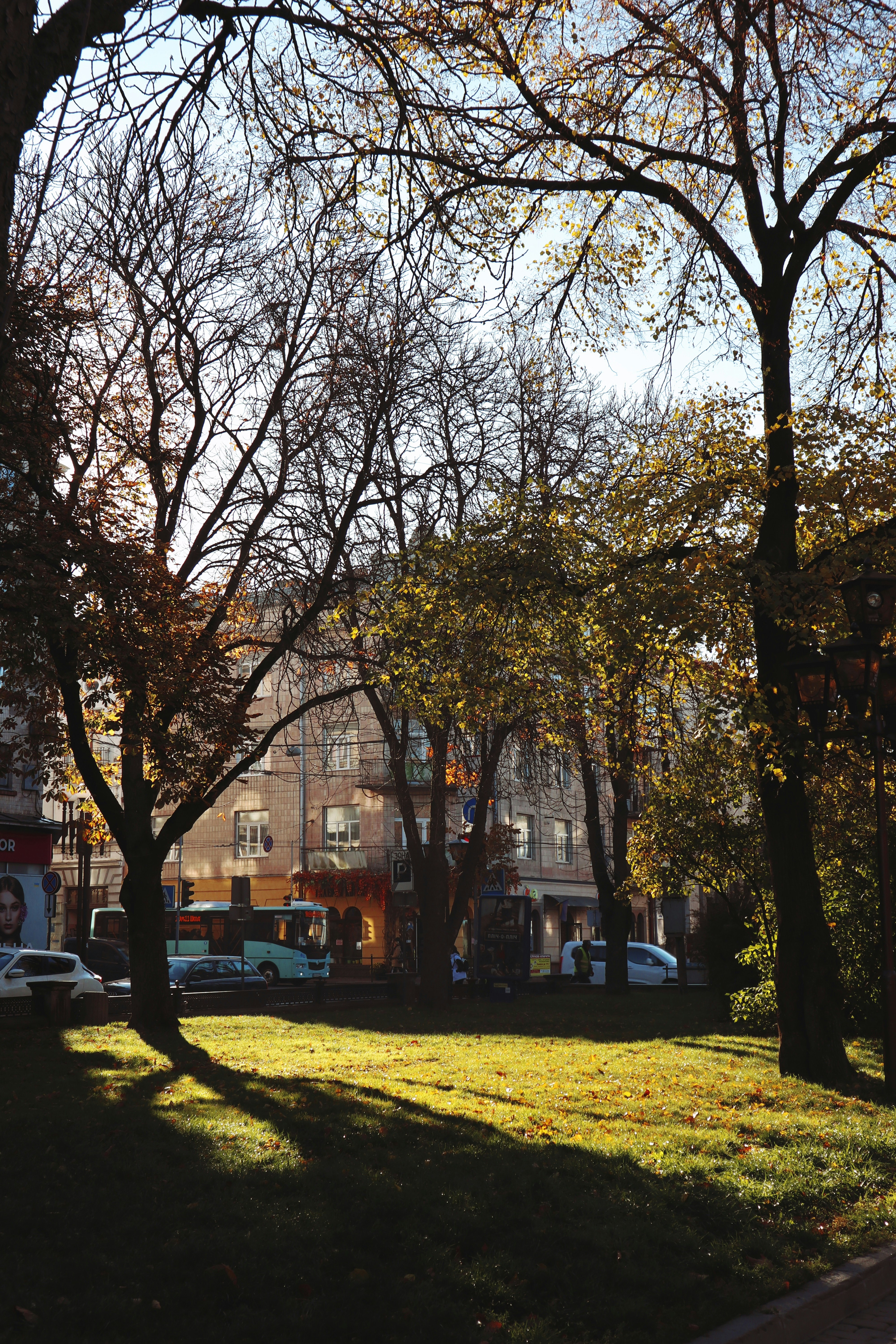 A beautiful vertical landscape shot of a sunny autumn afternoon in a city park. Bright sunlight streams through the branches of tall trees, casting long, dramatic shadows across a vibrant green lawn scattered with fallen leaves. In the soft-focused background, classic city buildings, a public bus, and street life are visible, capturing a peaceful yet lively urban autumn atmosphere.