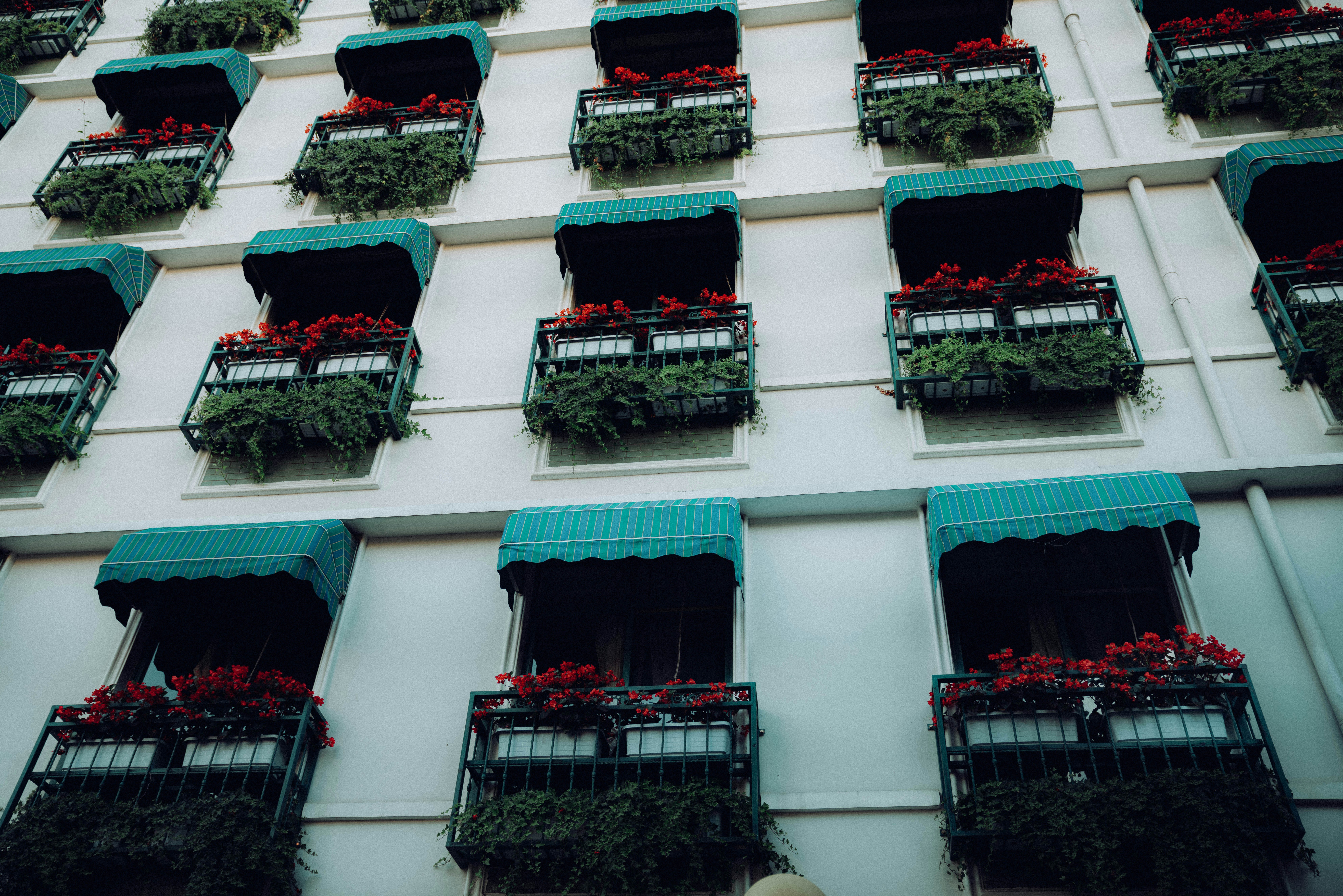 Arched balconies in a grid of green awnings