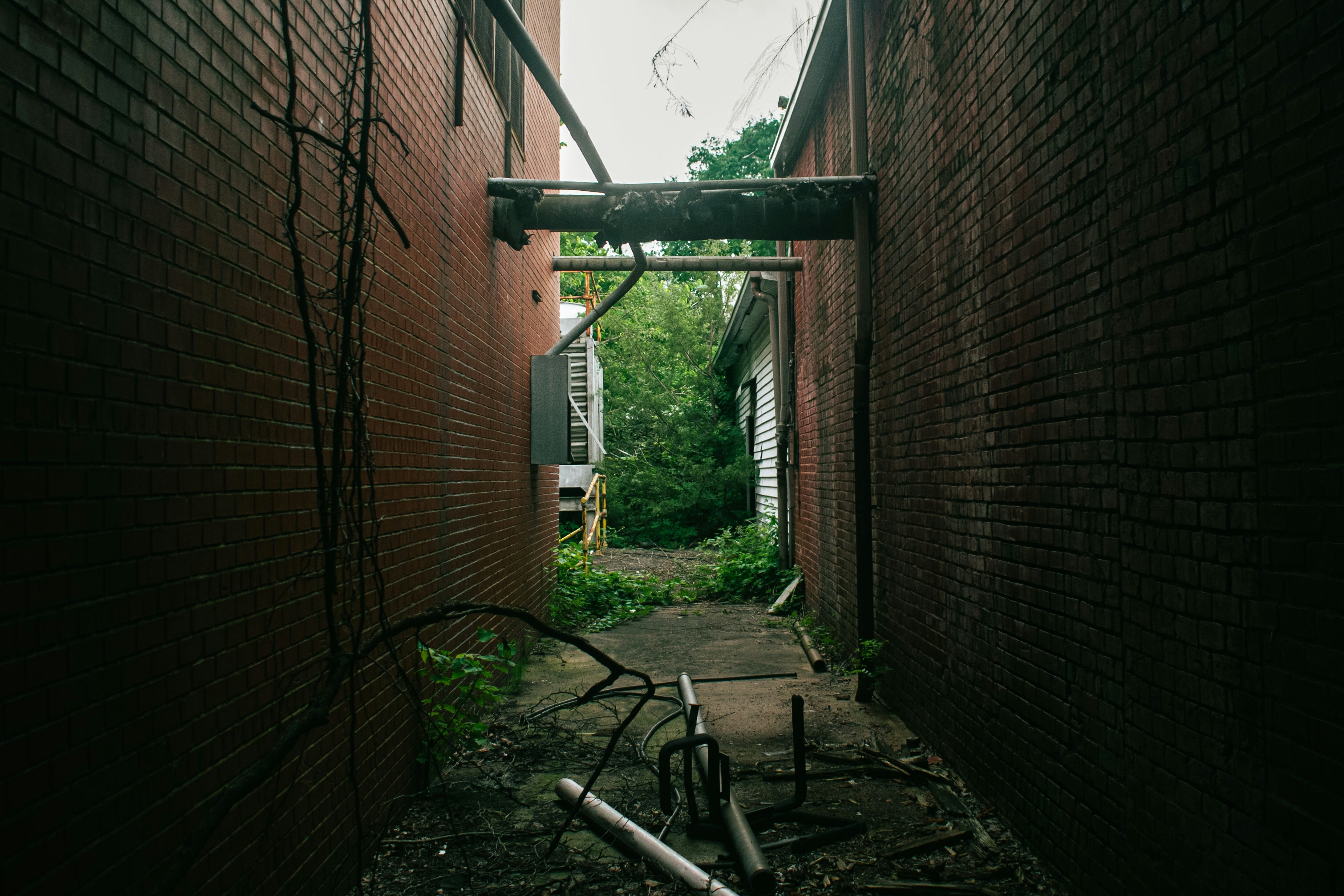 Between Brick Walls: Narrow Alley Crowned by Greenery