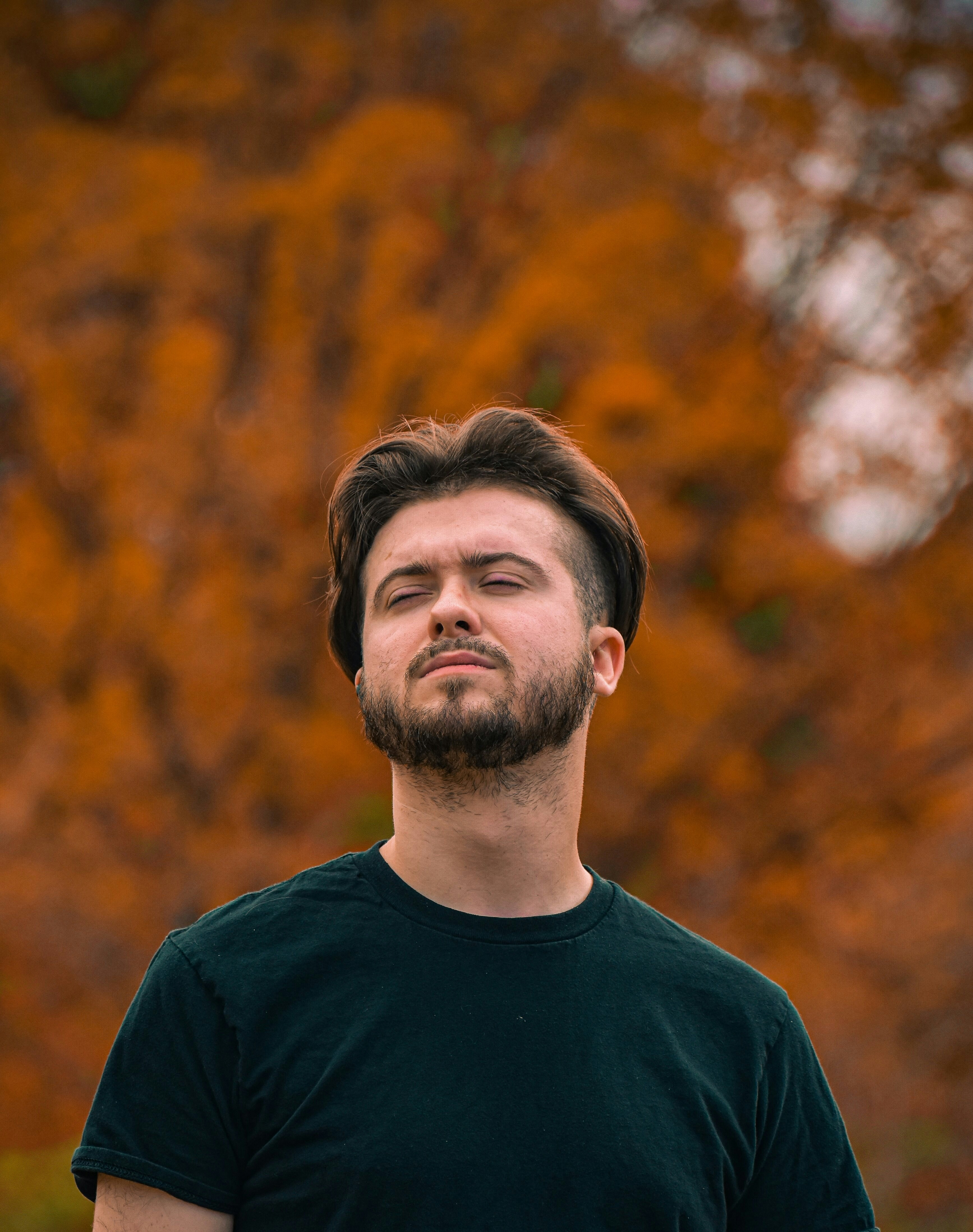 Autumn Calm: A Quiet Portrait Under Orange Canopies