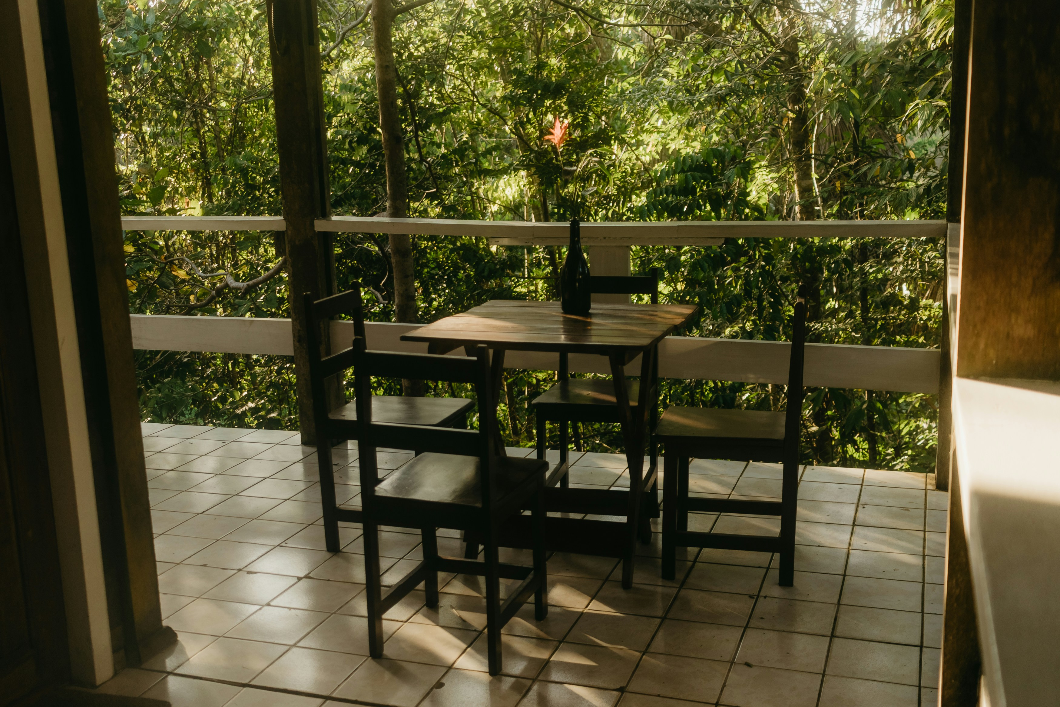 Sunlit Balcony Table: Quiet Morning Amid Green Canopy