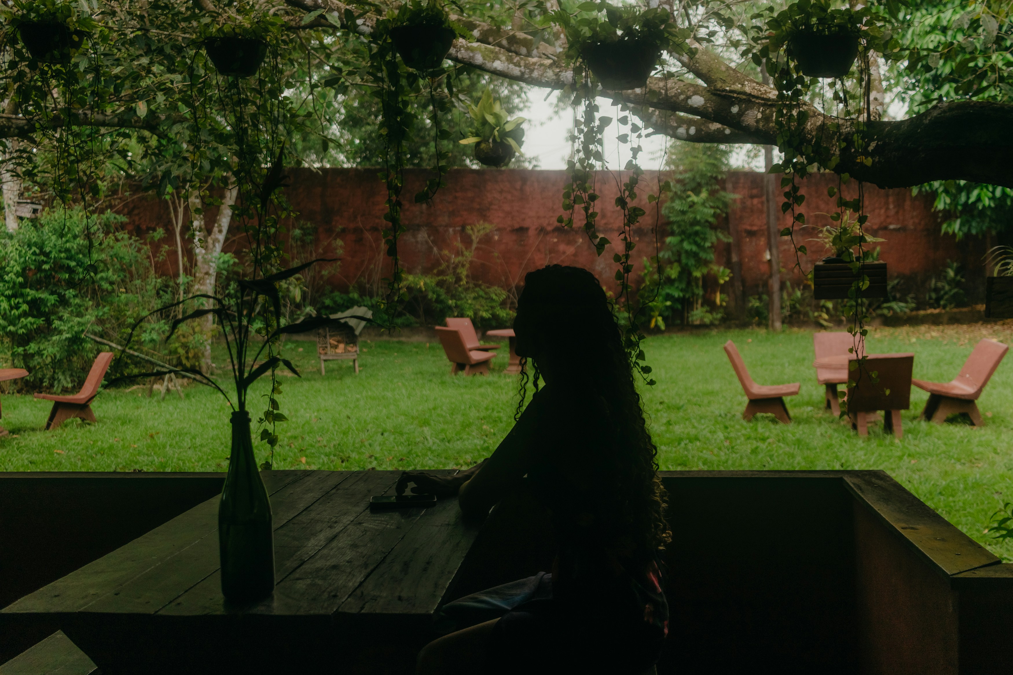 Silhouette at Dusk: A Quiet Moment in the Garden Café