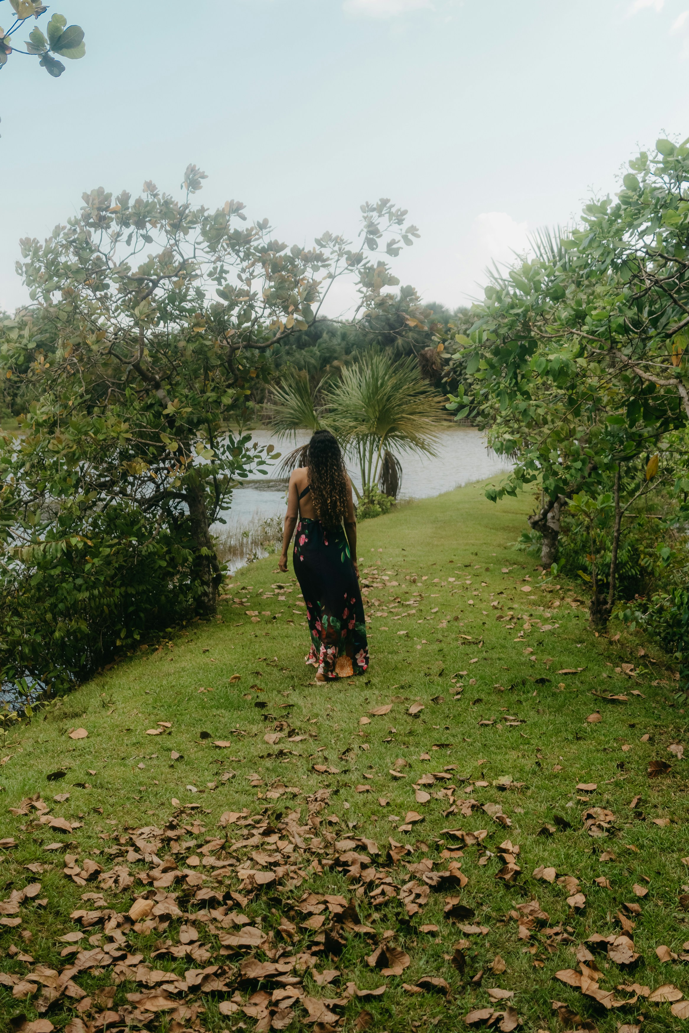 A Quiet Path Toward the Lake