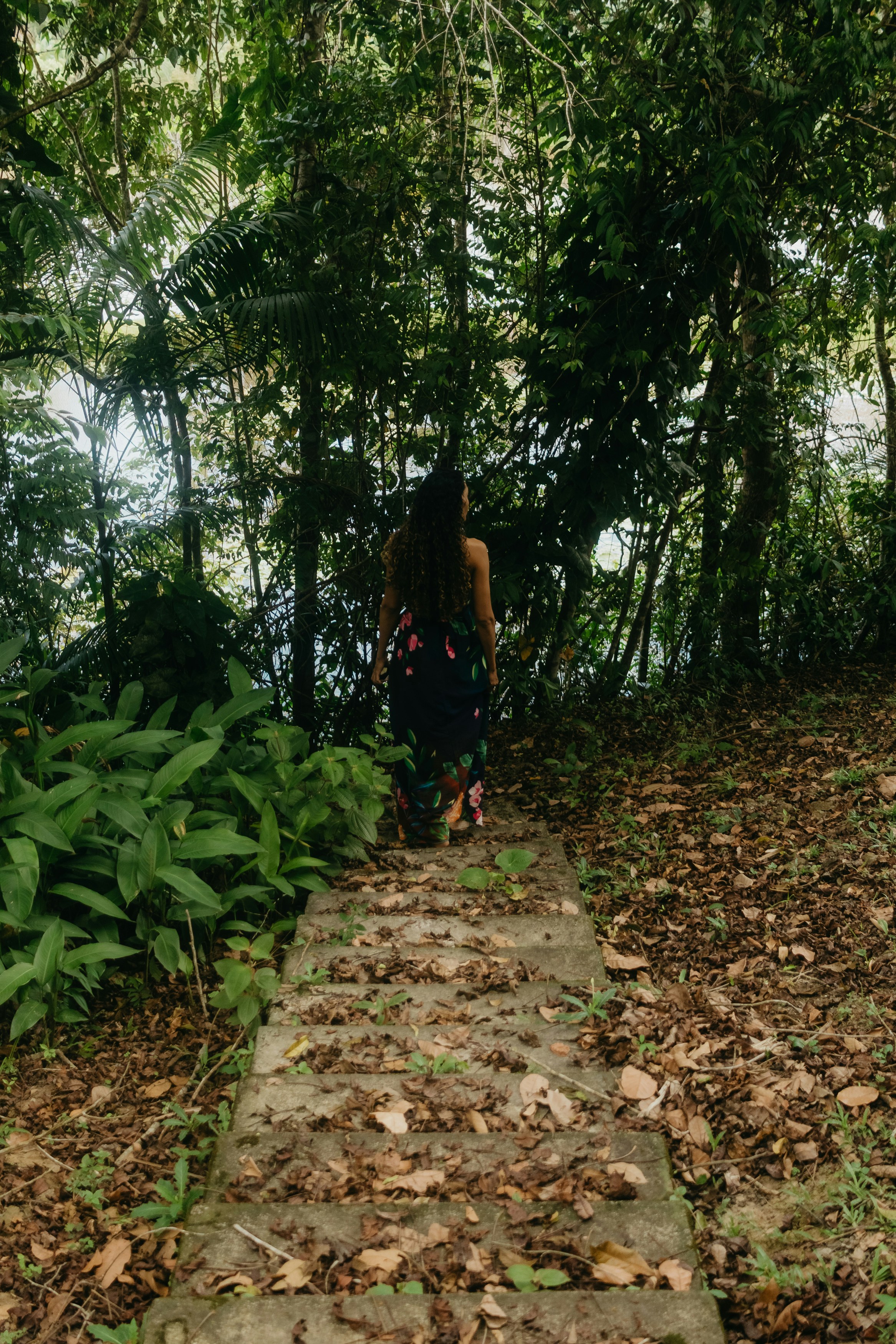 Step into the green corridor: a lone figure descending a mossy stair into the jungle