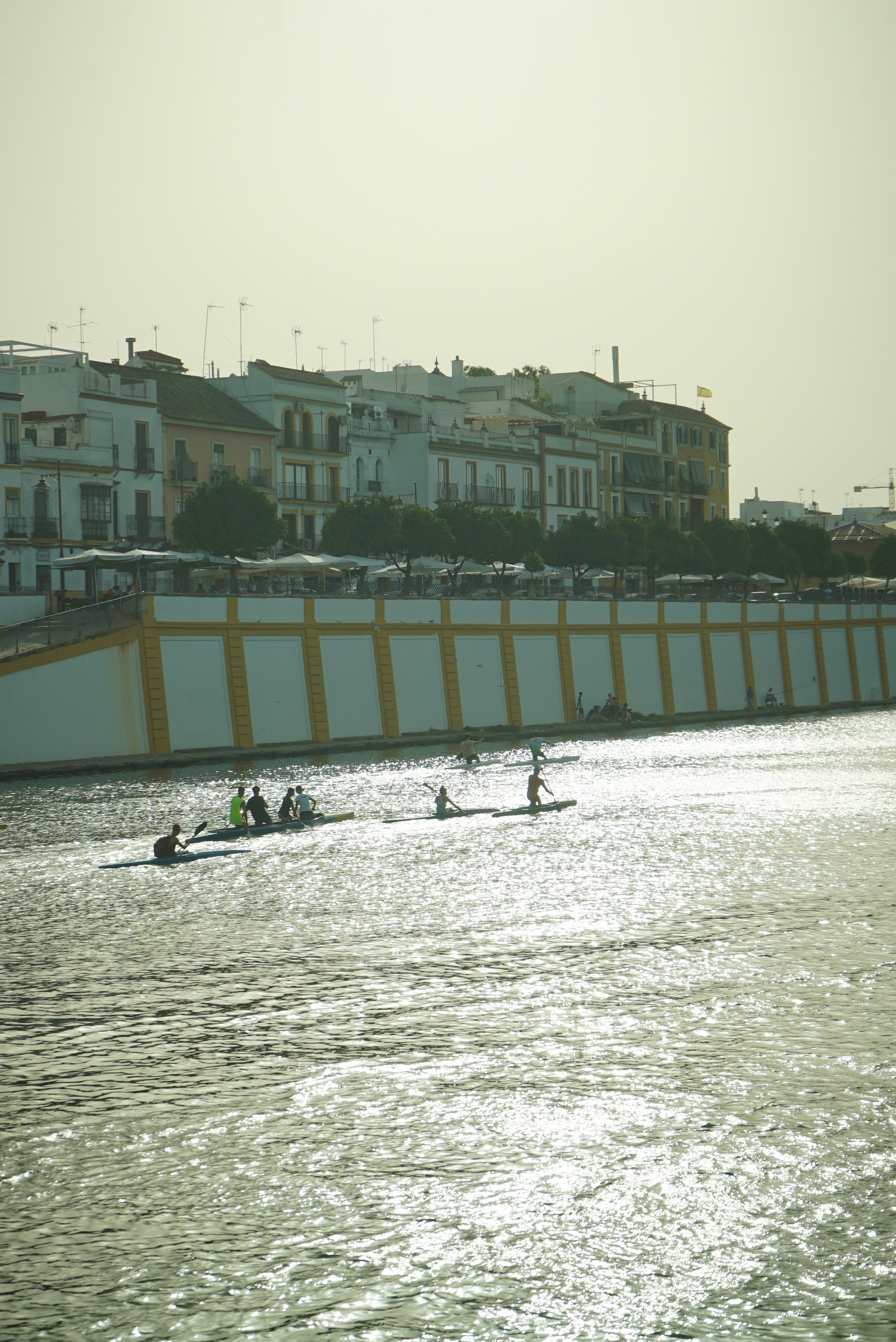 Sunlit Rowers Along a Mediterranean Riverside Promenade