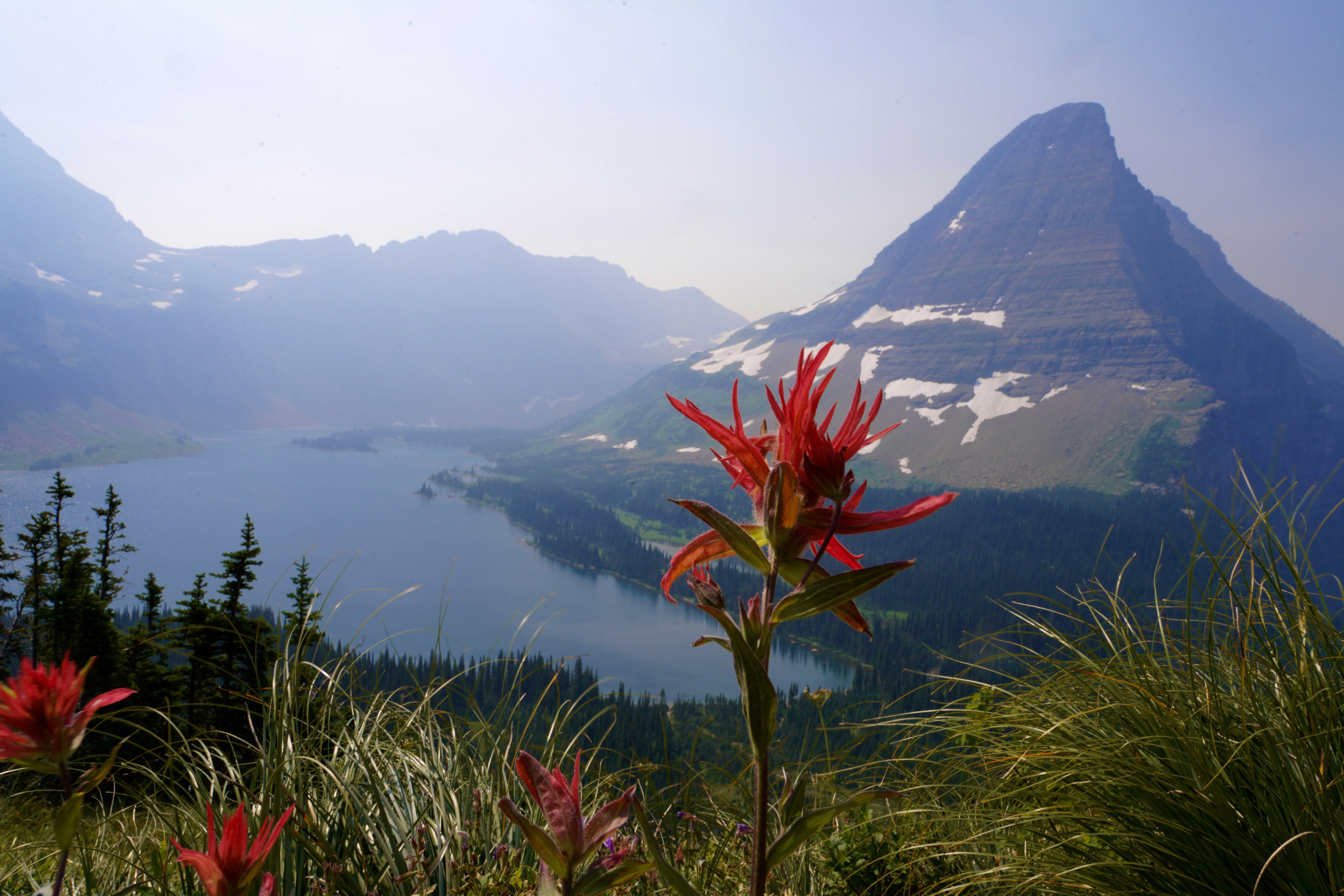 Red alpine flower in the foreground with a tranquil lake and towering mountains in the background; landscape scene highlighting depth and distant peaks. (Photo is a natural landscape, not a logo or illustration).