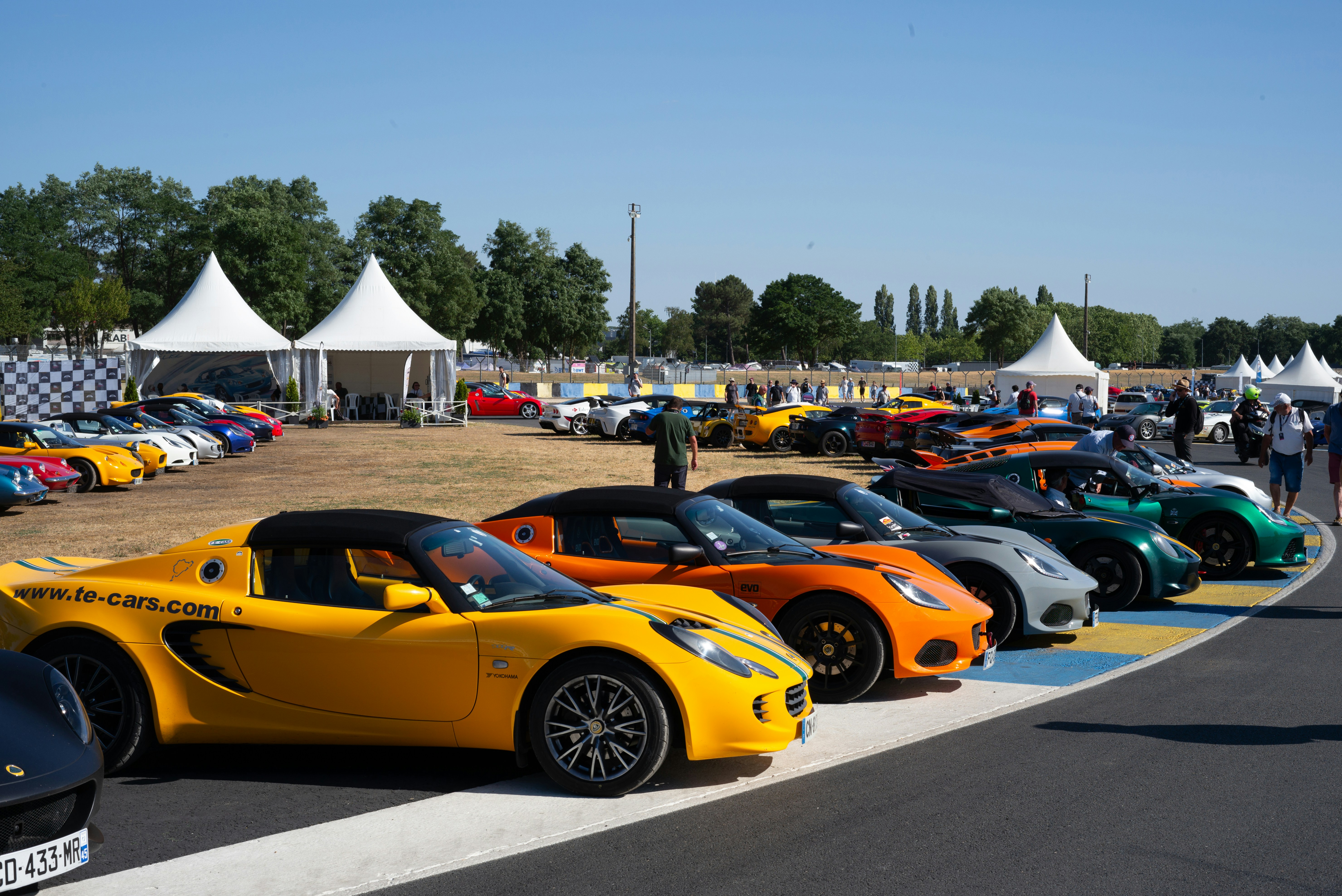 Row of Yellow Convertibles at a Car Exhibit