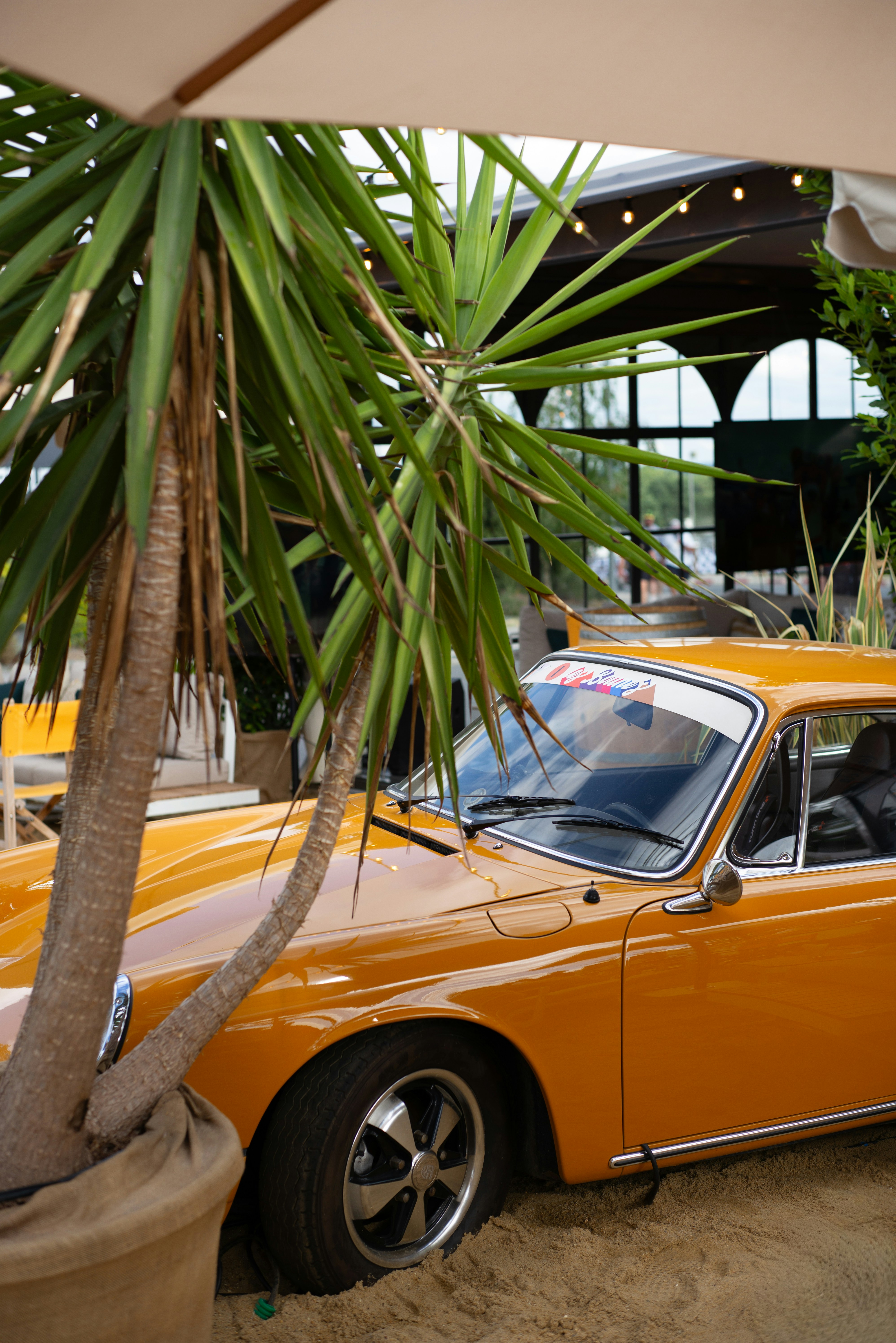 Amber Classic: A Vintage Car Nestled by Desert Greens
