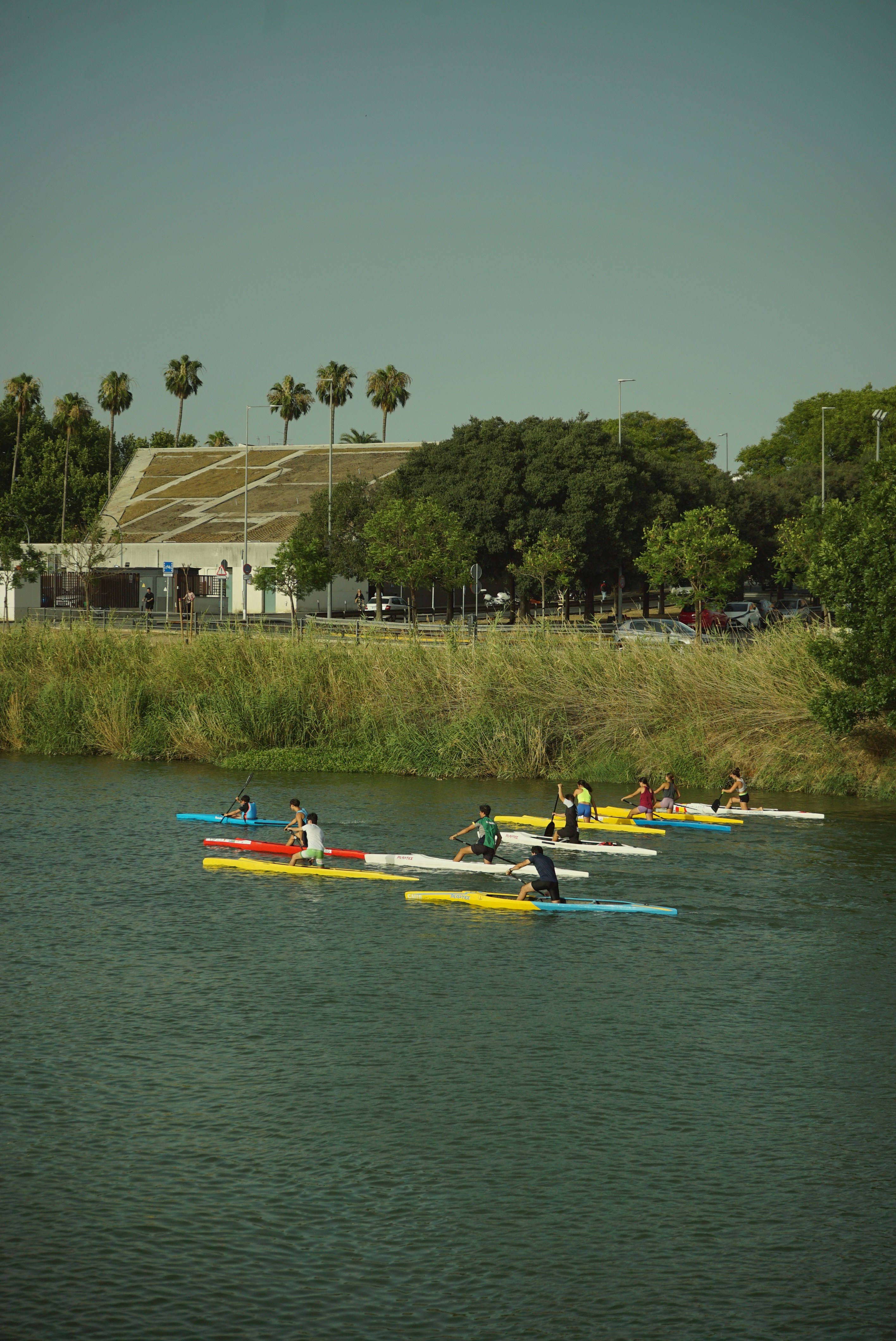 Kayaks Glide Across a Calm River Under a Row of Palms