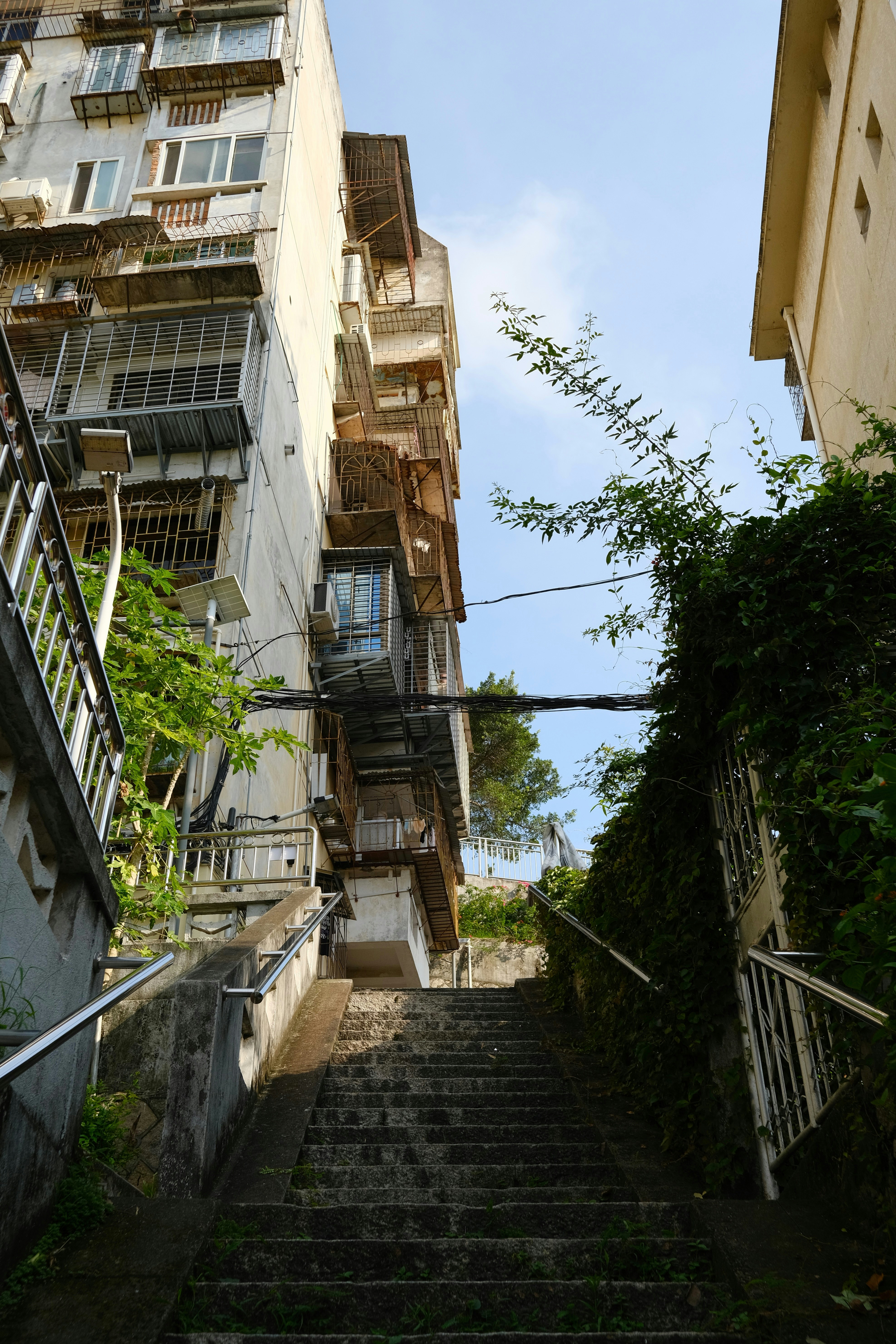 Urban Staircase to the Sky: A Narrow Path Between Buildings