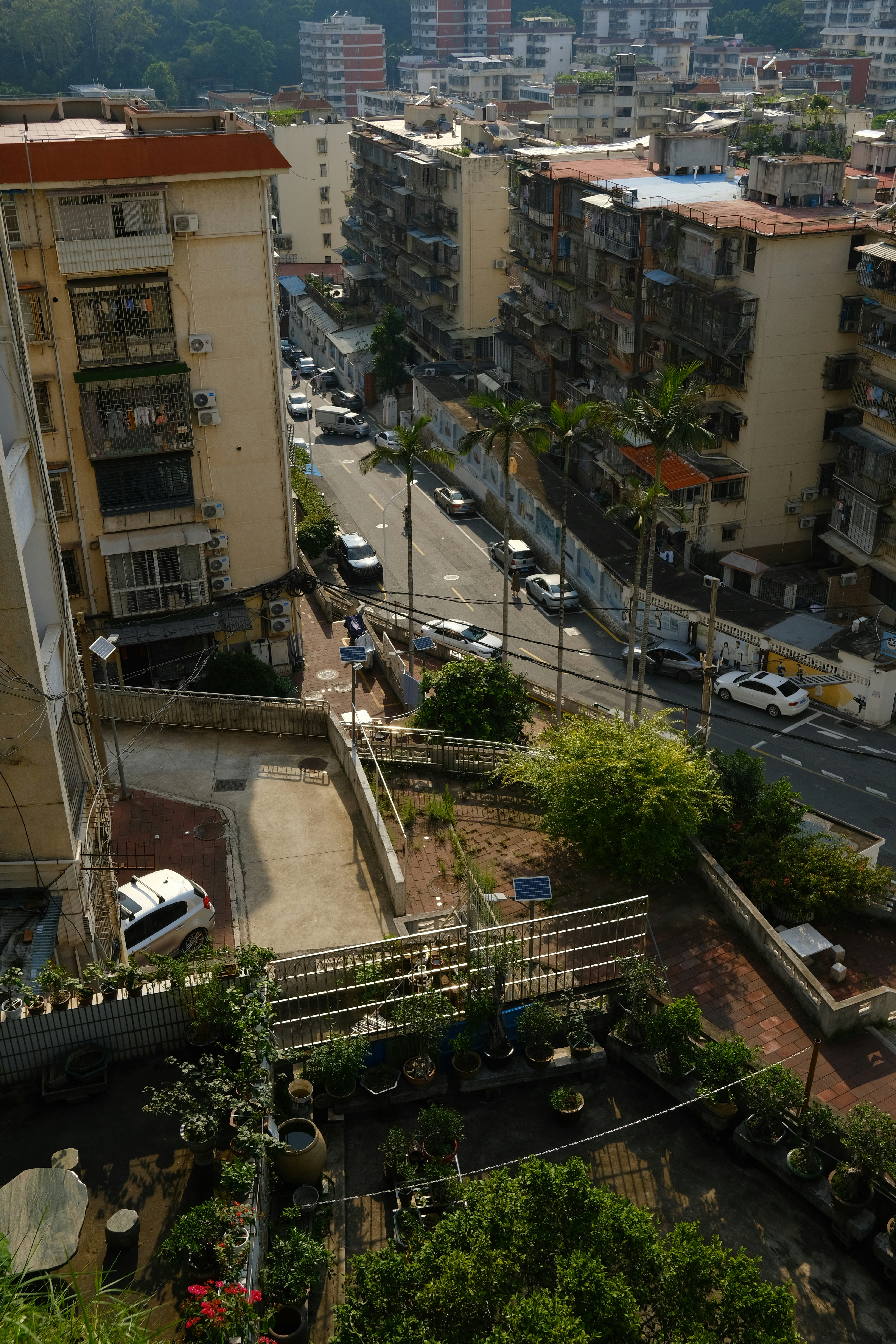 Urban hillside avenue: balconies, palm trees and a sunlit street
