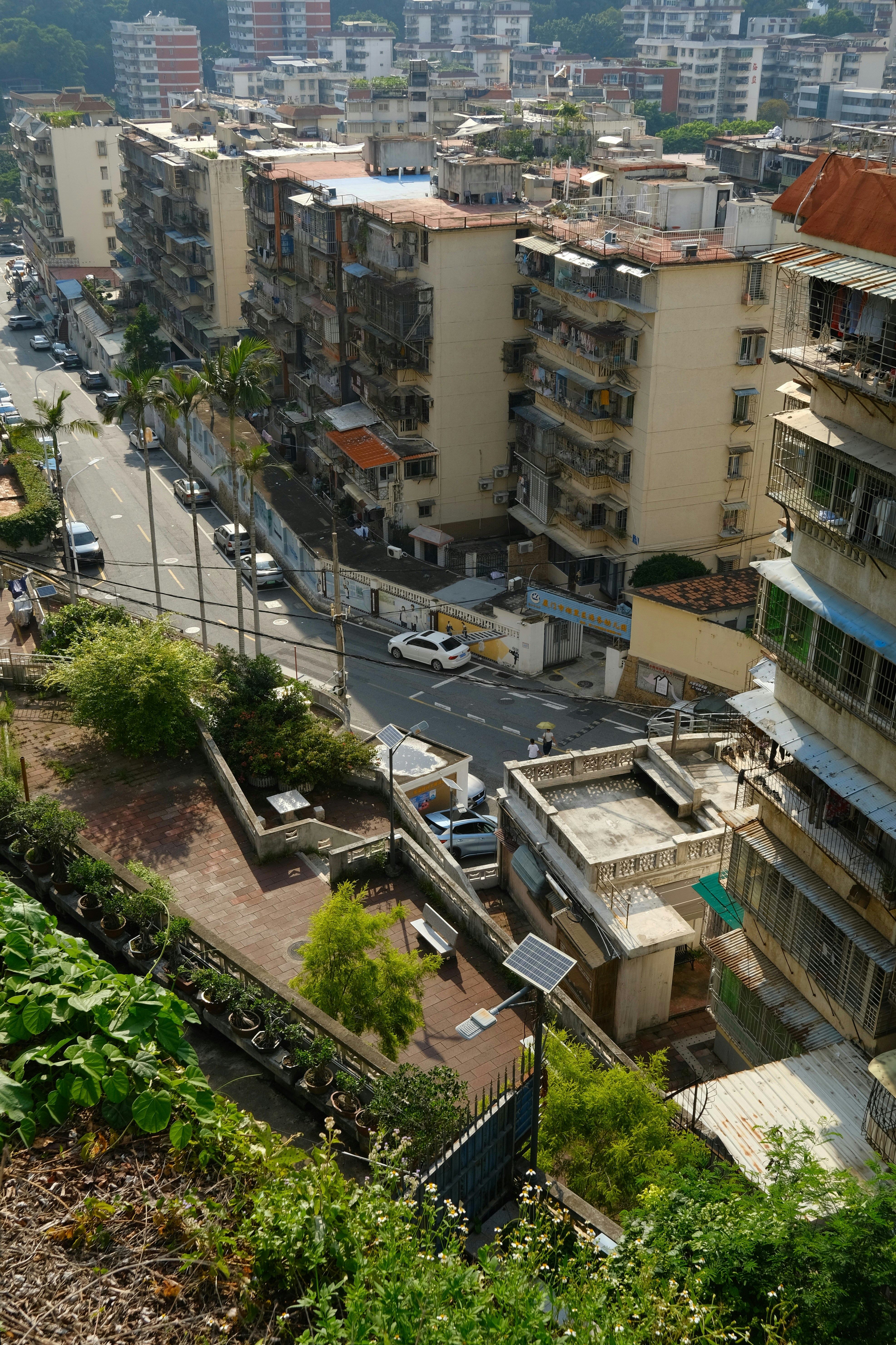 Sunlit Urban Cascade: A hillside street unfolds between weathered apartment blocks