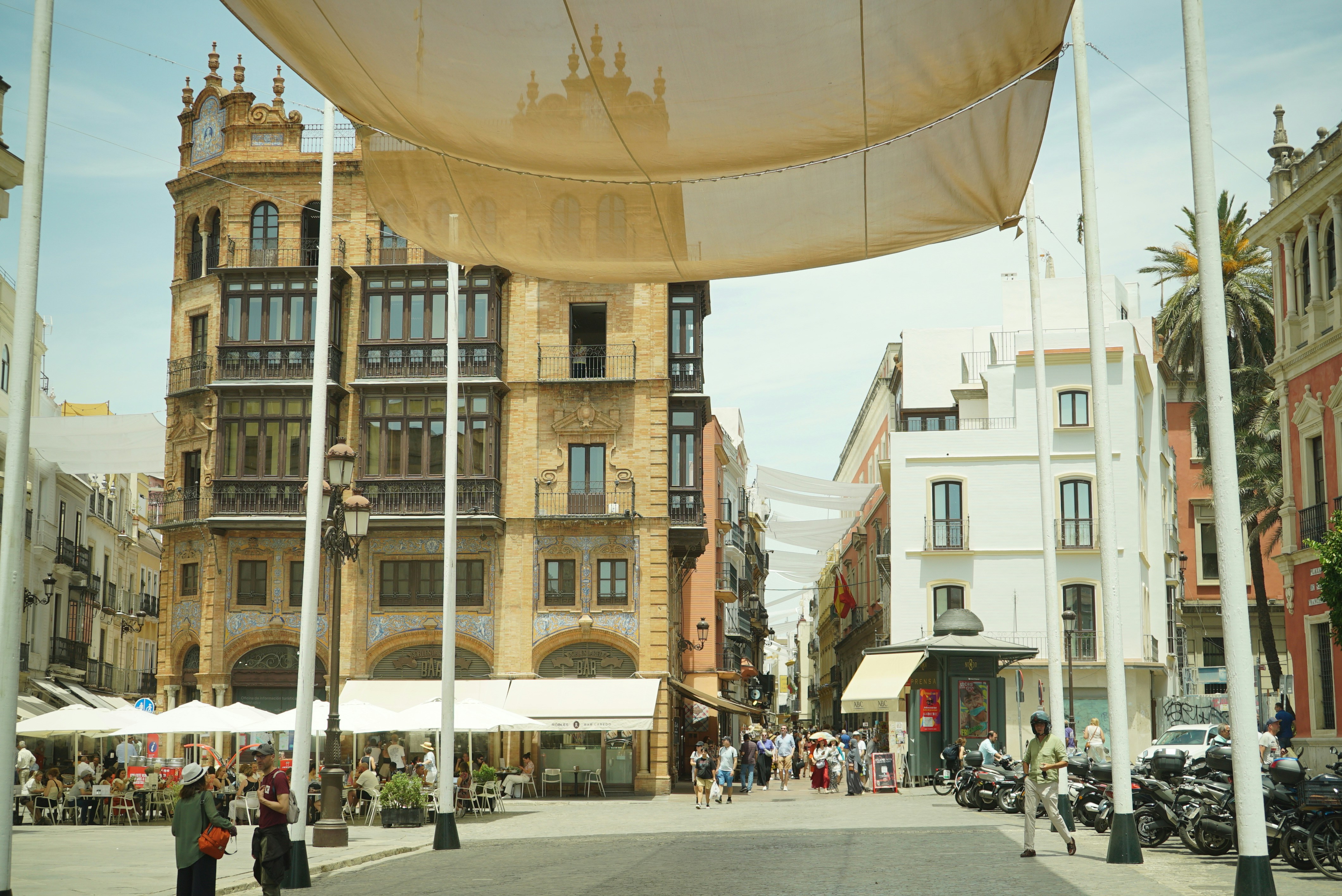 Sunlit plaza under a flowing canopy: curiosity and architecture meet