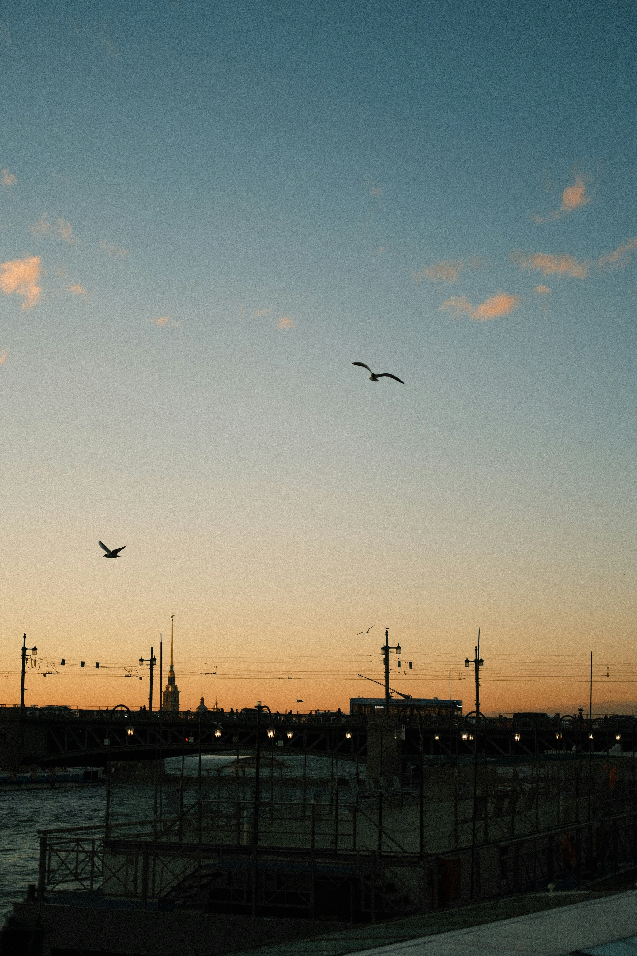 Sunset Over the Docks: Silhouettes and Soaring Birds
